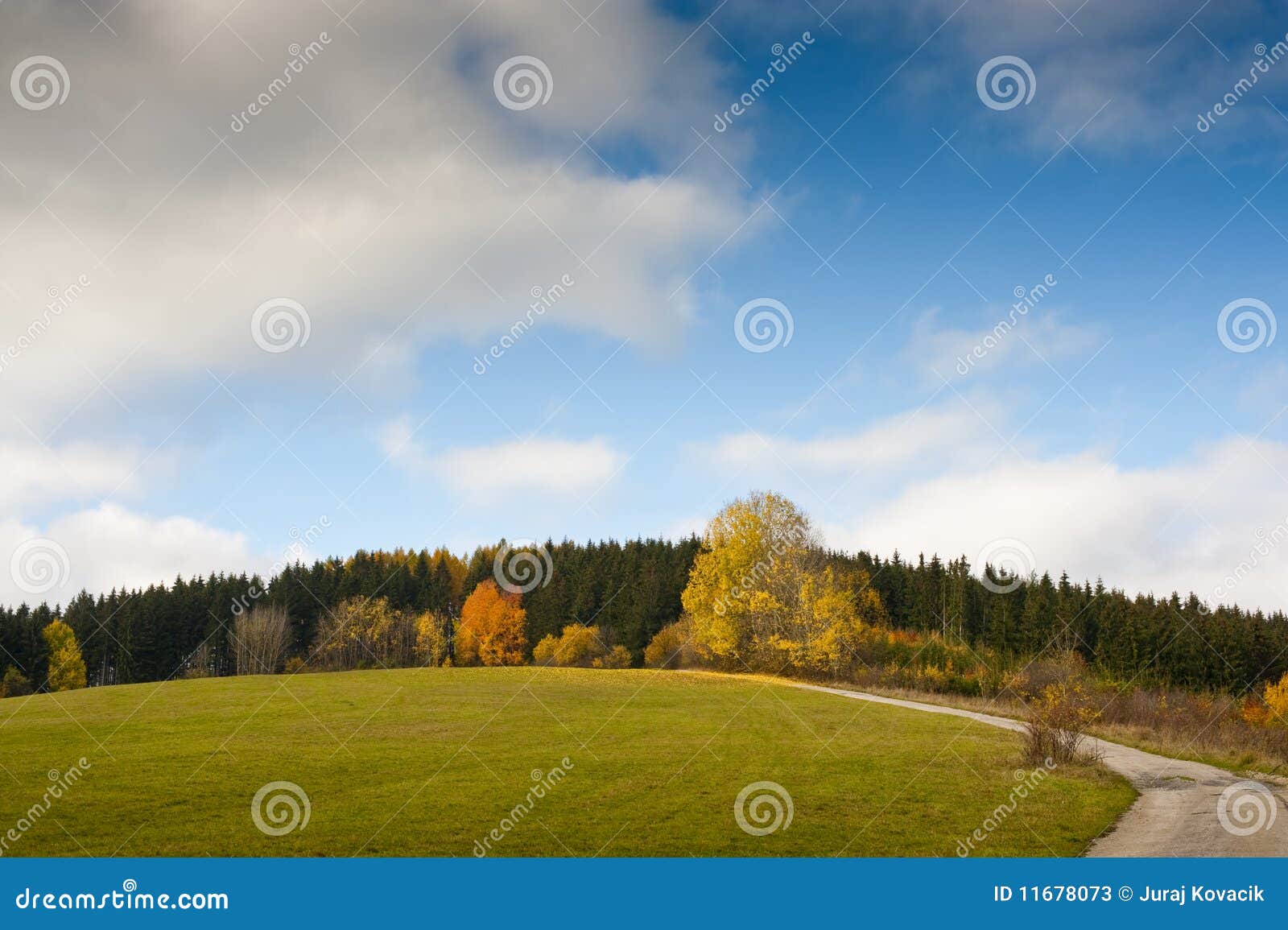 Road and meadows stock image. Image of scenery, landscape - 11678073