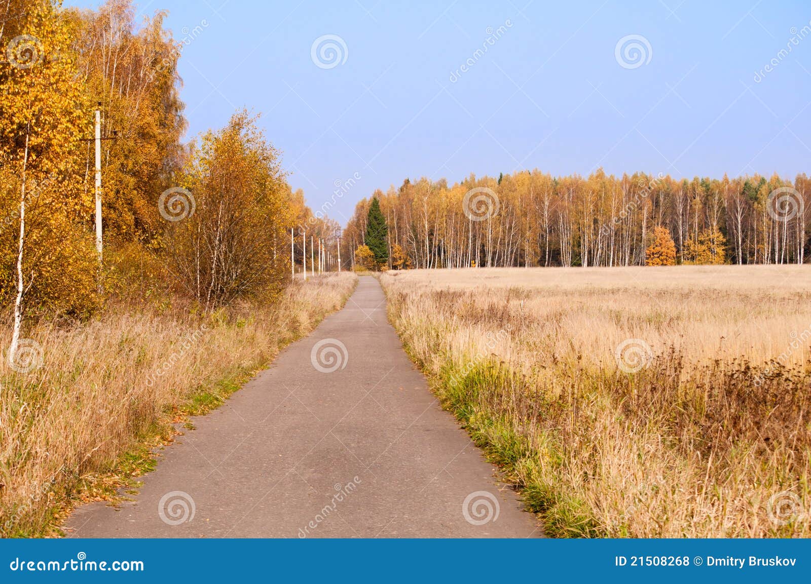 Road and the meadows stock photo. Image of blue, nature - 21508268