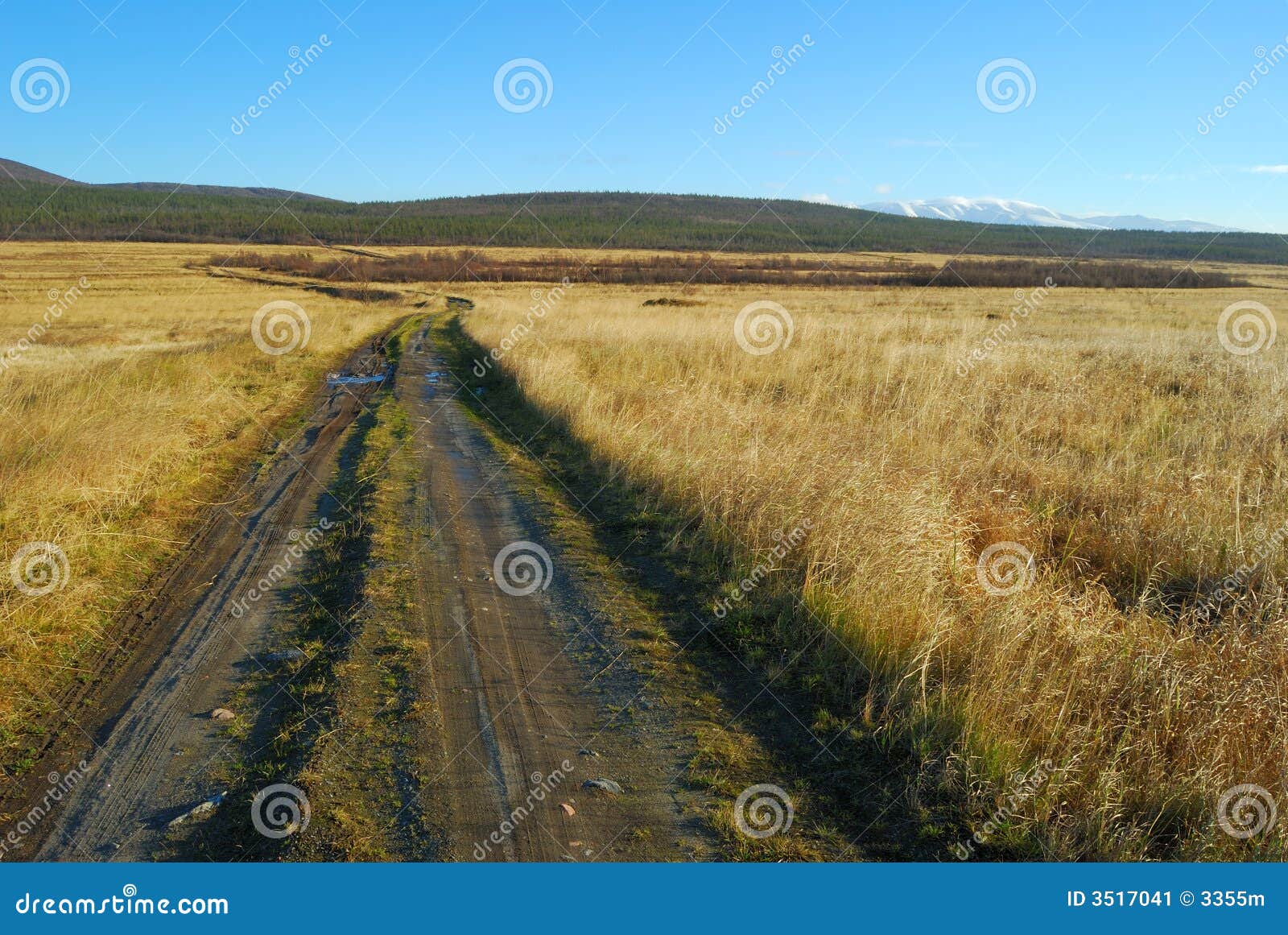 Road through meadows stock image. Image of stone, meadows - 3517041