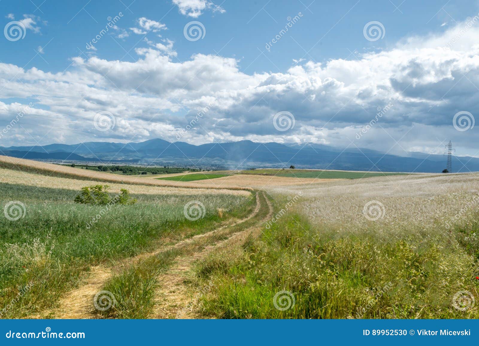 Road in the medow stock photo. Image of grassland, horizon - 89952530