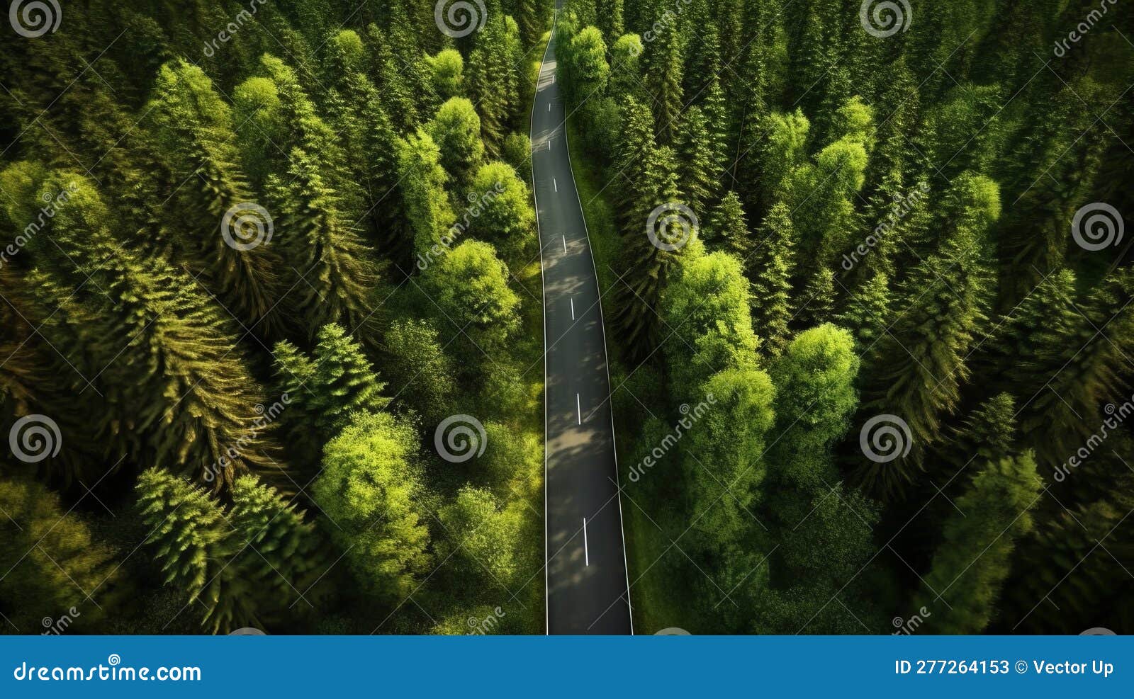 Road in the Middle of the Forest View from Above. Generative AI Stock ...