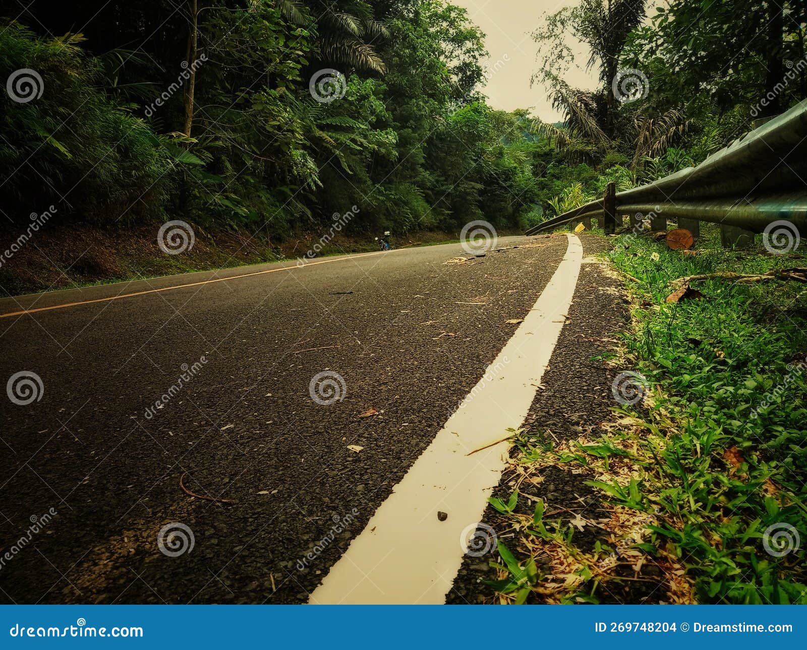 The Shade From The Trees On A Sultry Summer Afternoon. The Feather ...