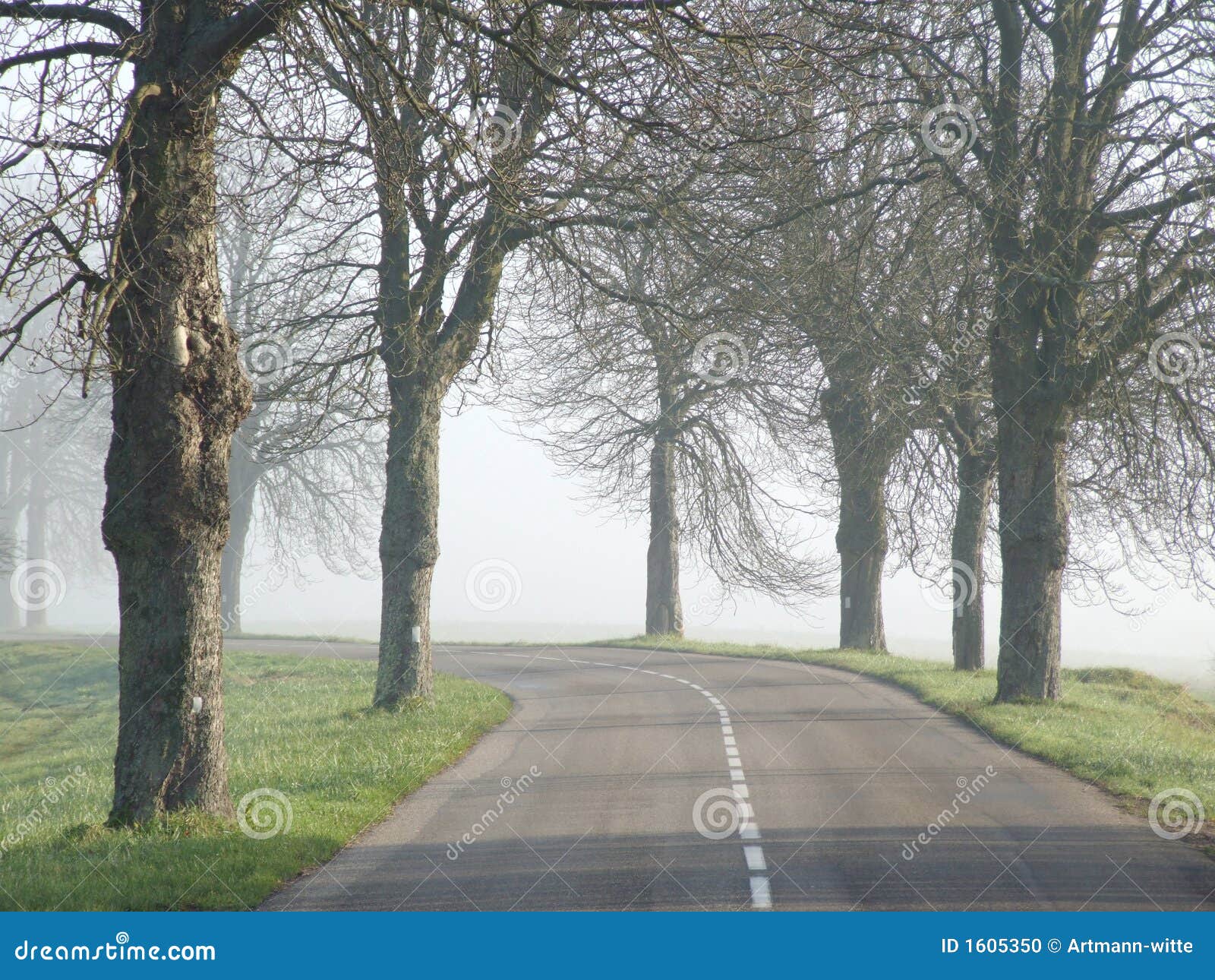 Road and mist stock photo. Image of danger, harvest, careful - 1605350
