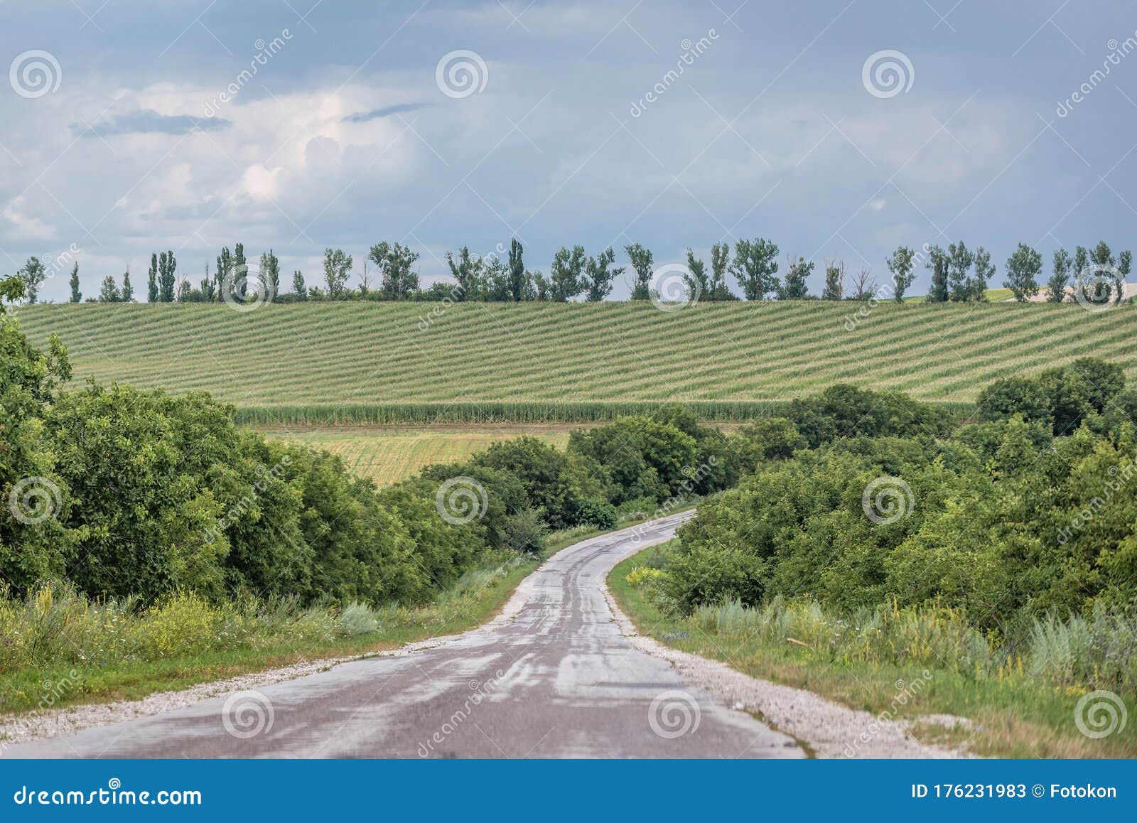 Road in Moldova stock image. Image of moldova, nature - 176231983
