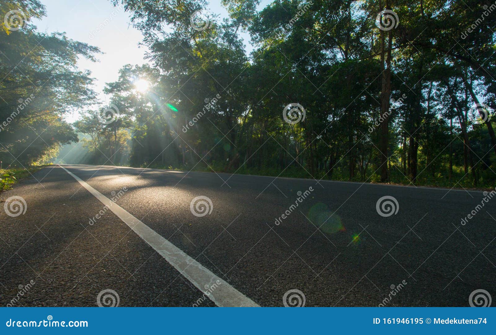 The Road on Morning and Sunrise Stock Image - Image of grass, beautiful ...