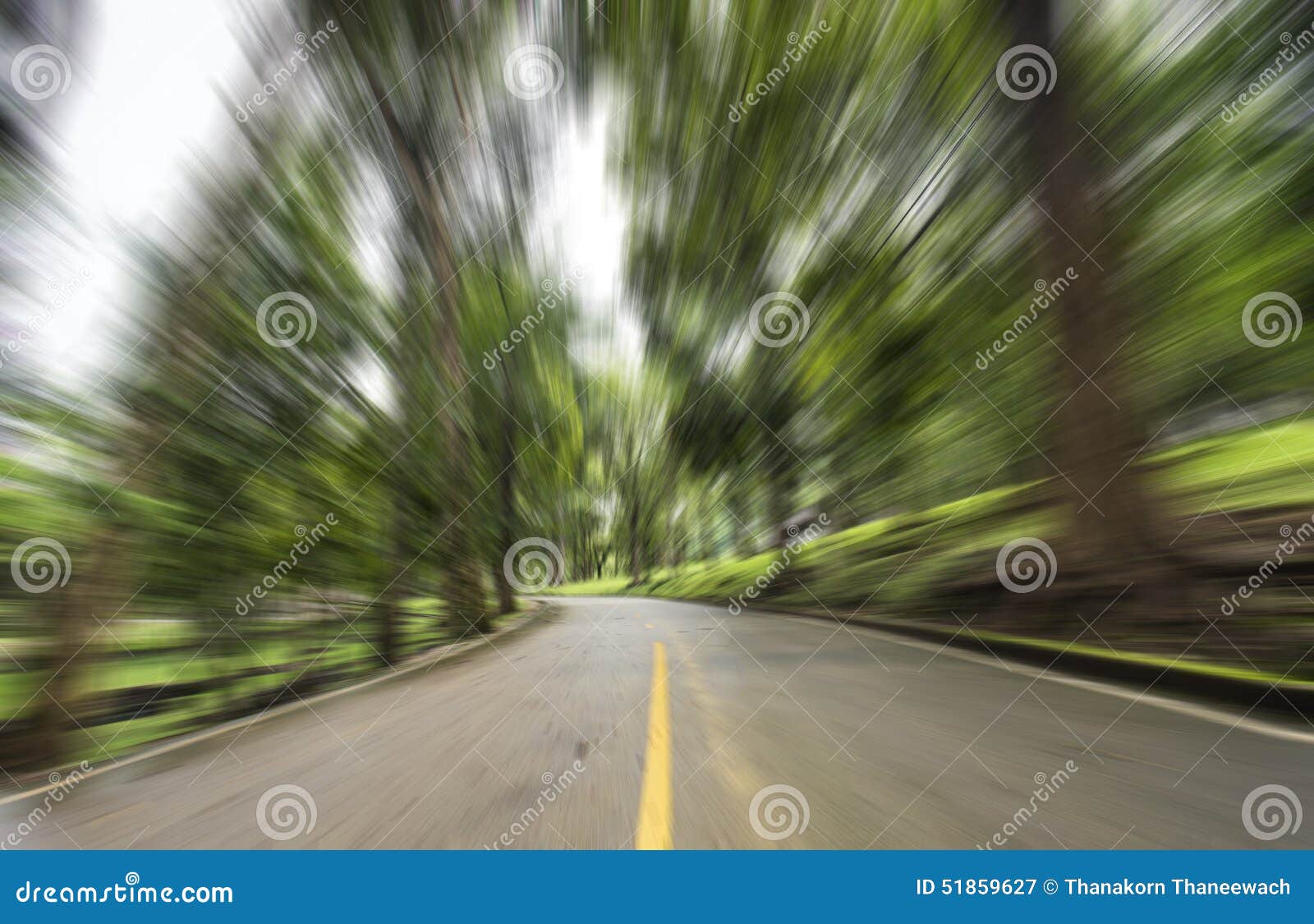 Road with Motion Blur in the Nature Stock Image - Image of moving ...