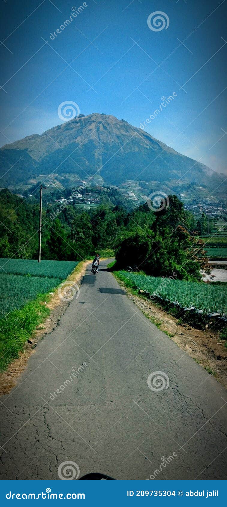 Road mount stock photo. Image of valley, infrastructure - 209735304