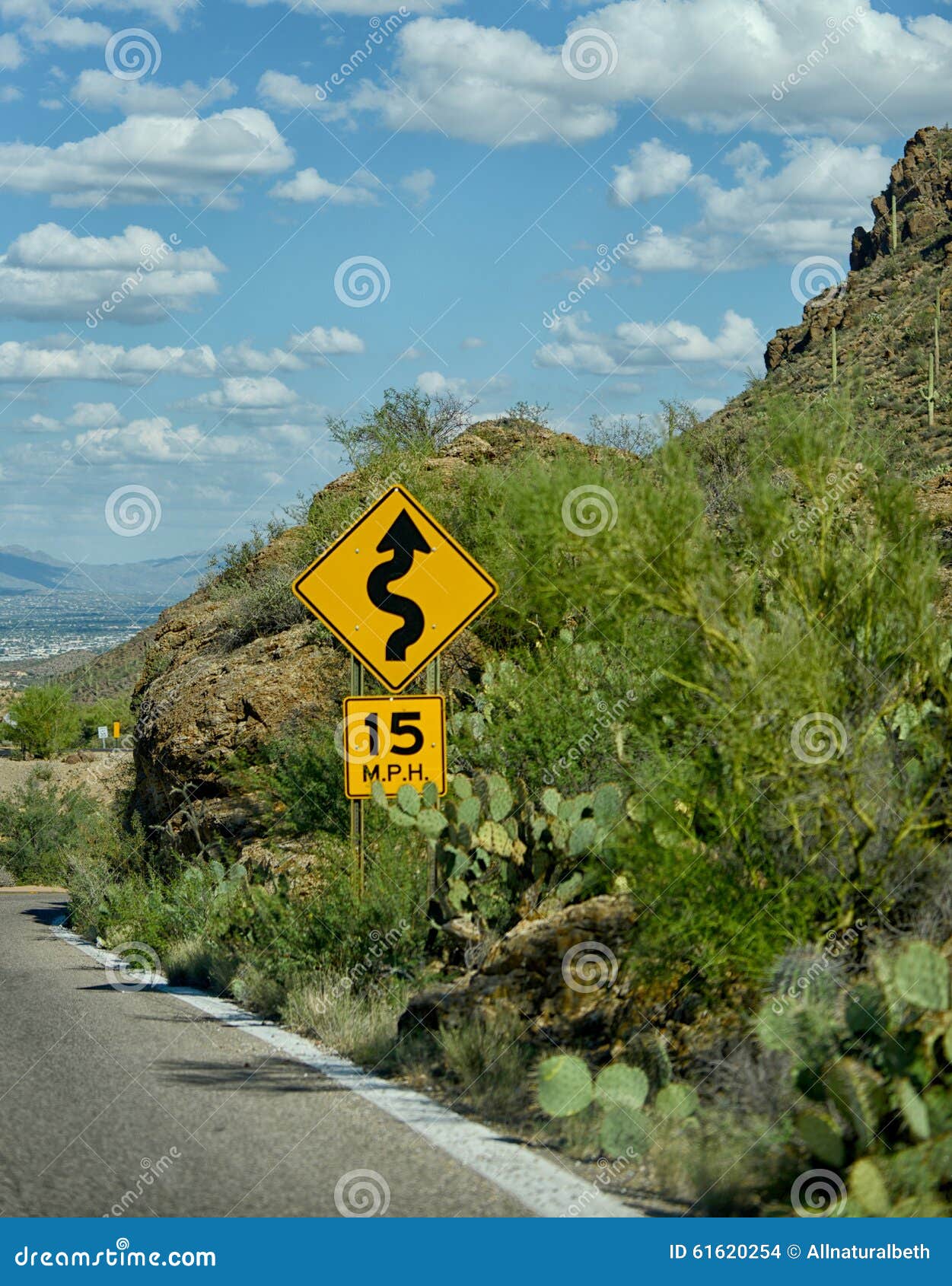 Road 15 Mph Sign Warning of Curves in the Road Ahead Stock Photo ...