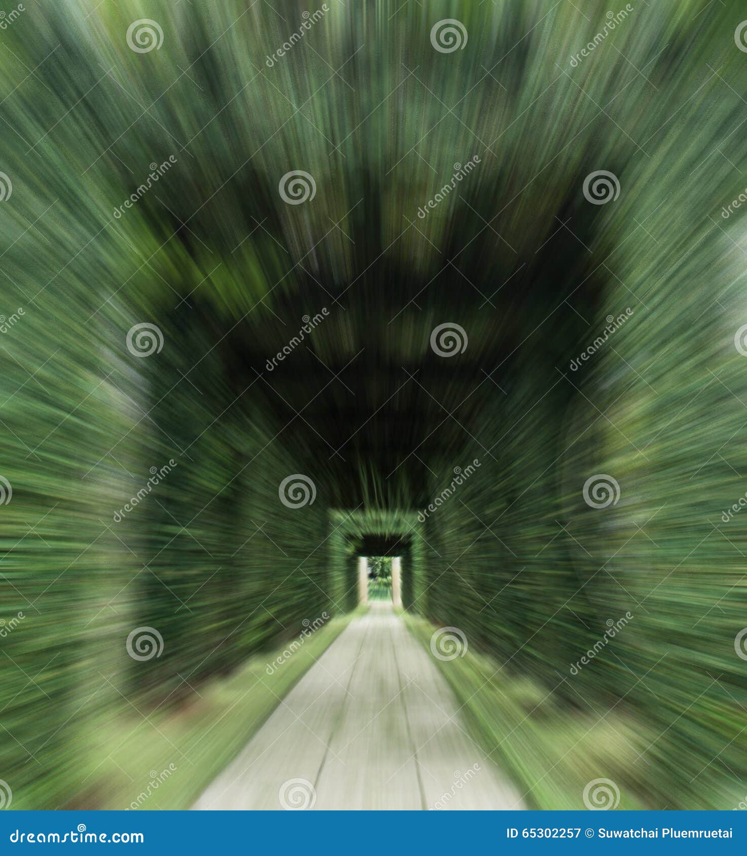 Road with Nature in Motion Blur Stock Image - Image of empty, journey ...