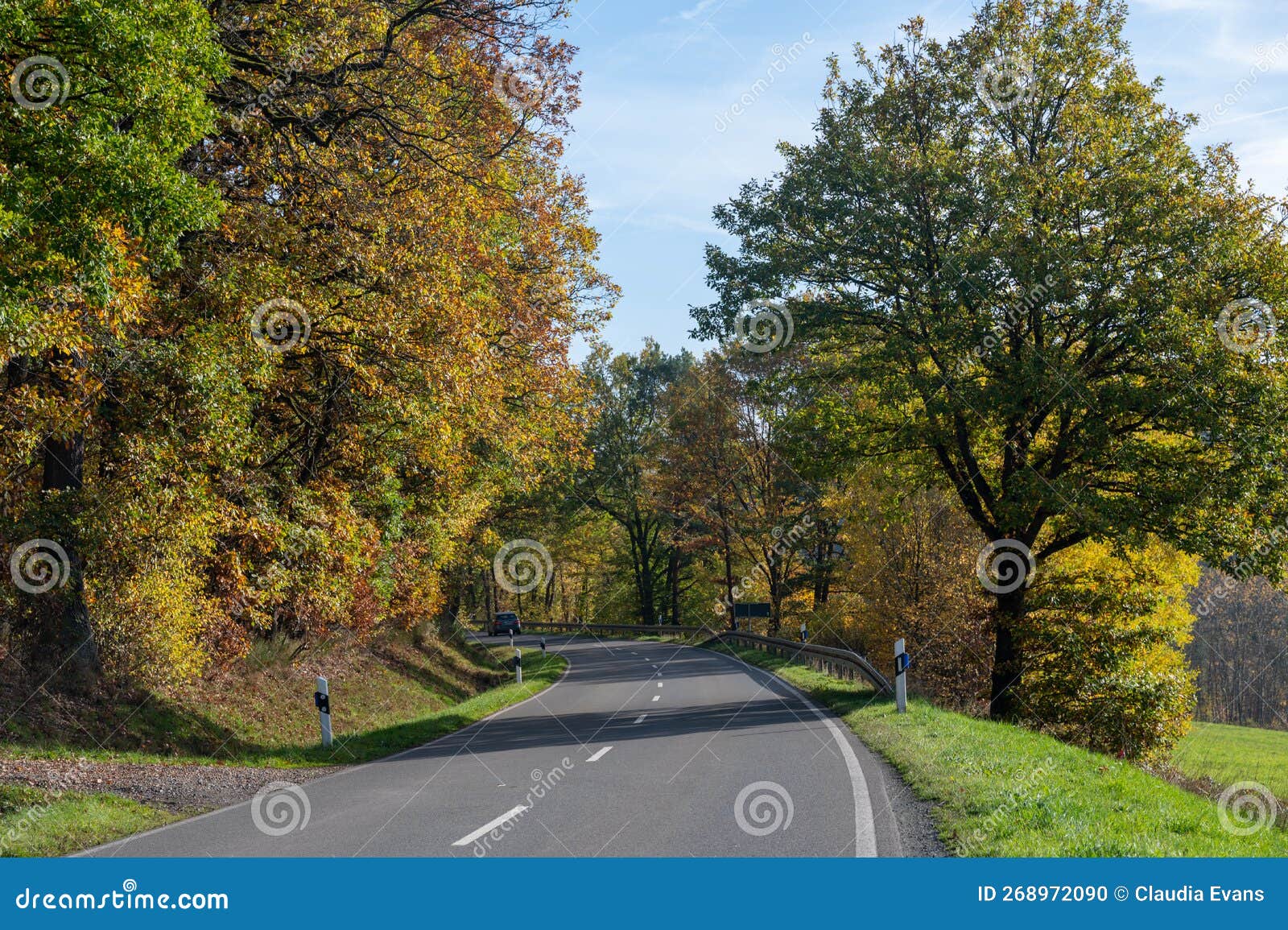 Road in nature with trees stock photo. Image of country - 268972090