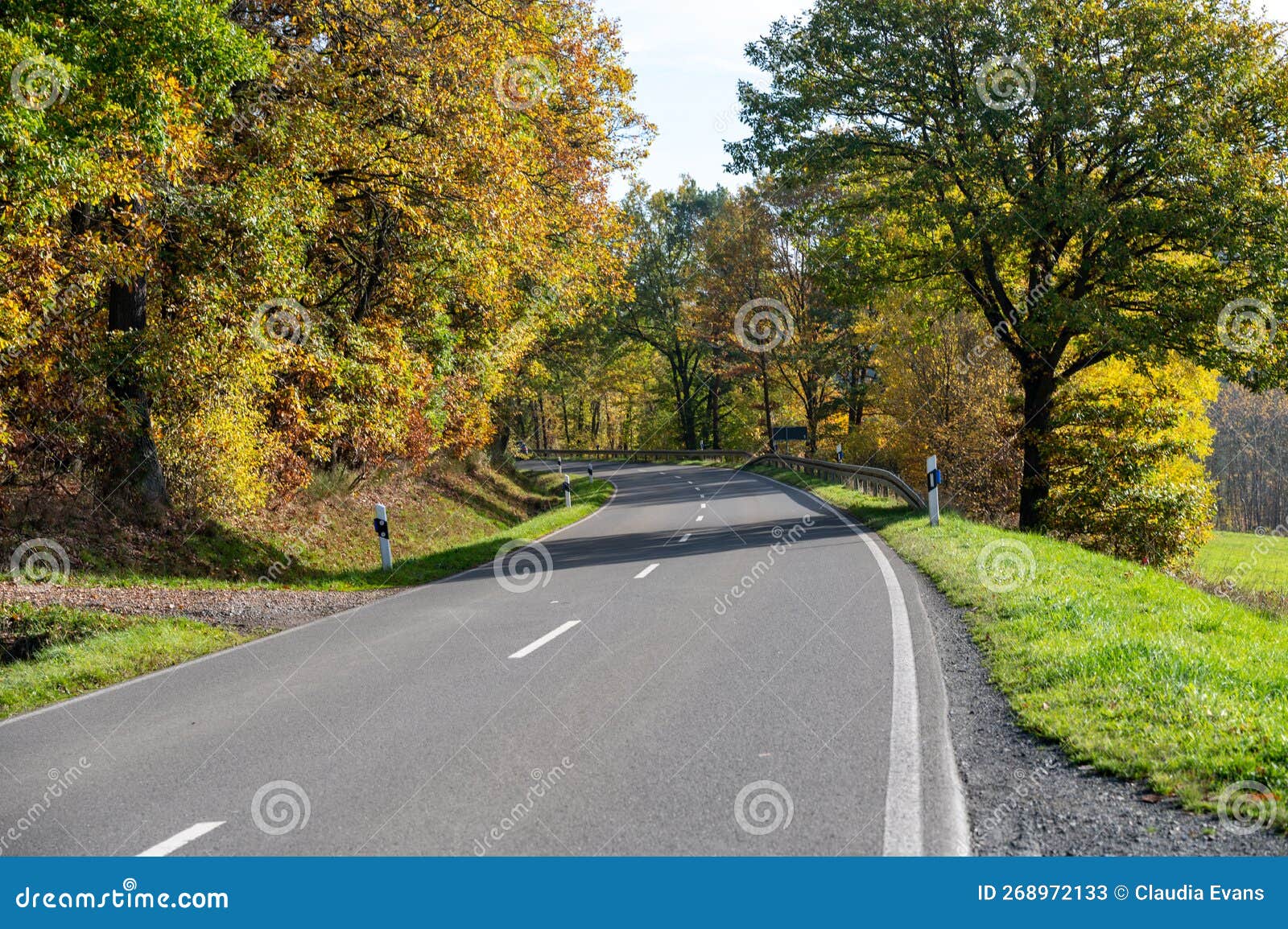 Road in nature with trees stock image. Image of road - 268972133