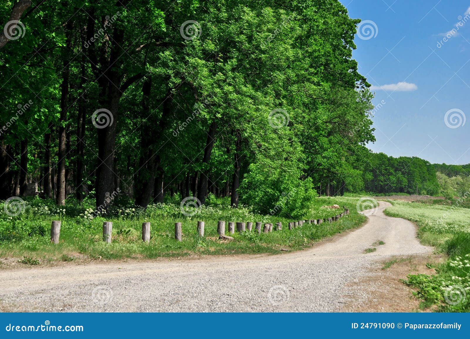 Road near forest stock photo. Image of blue, long, mobility - 24791090