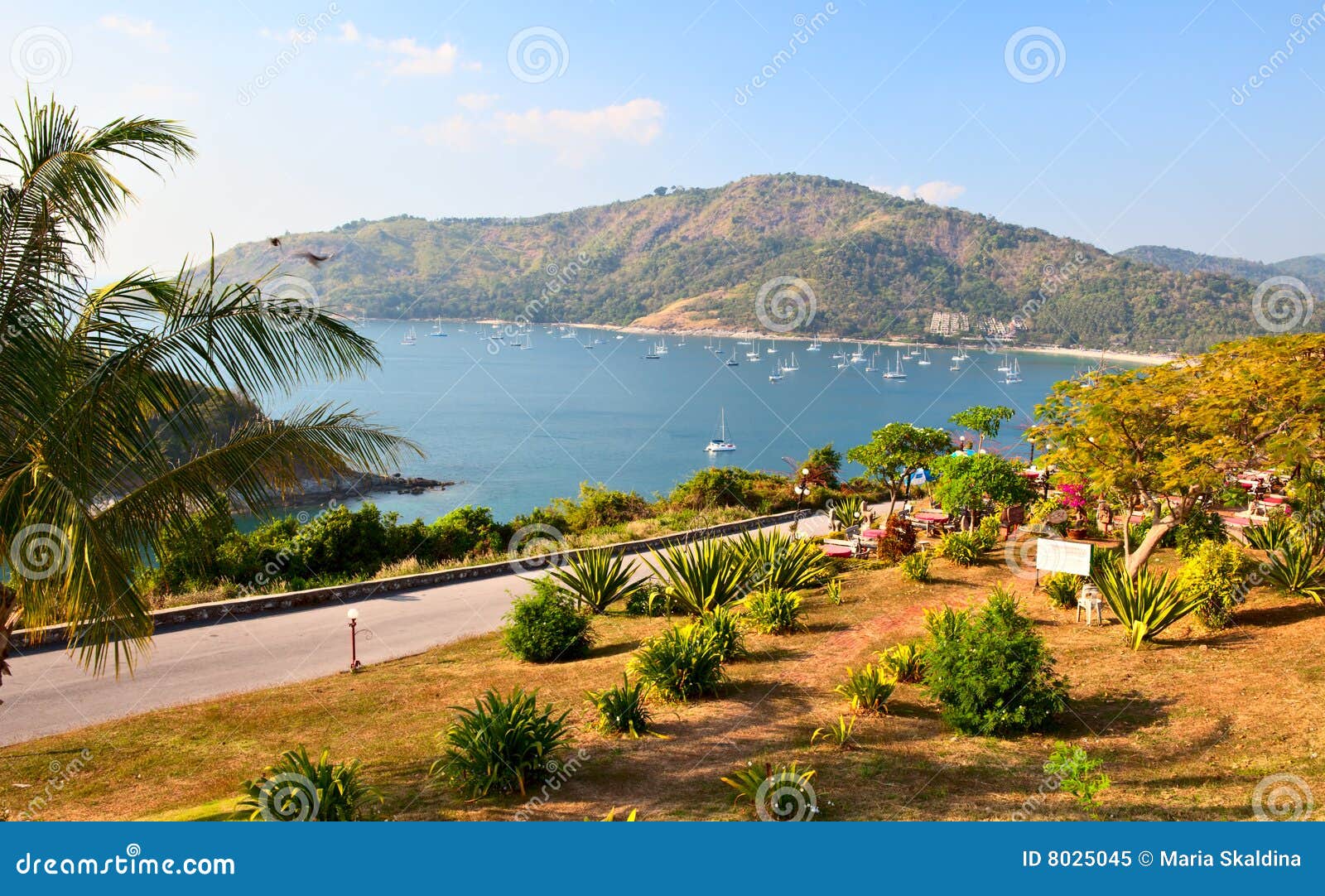 Road near the sea stock image. Image of roadside, relaxation - 8025045