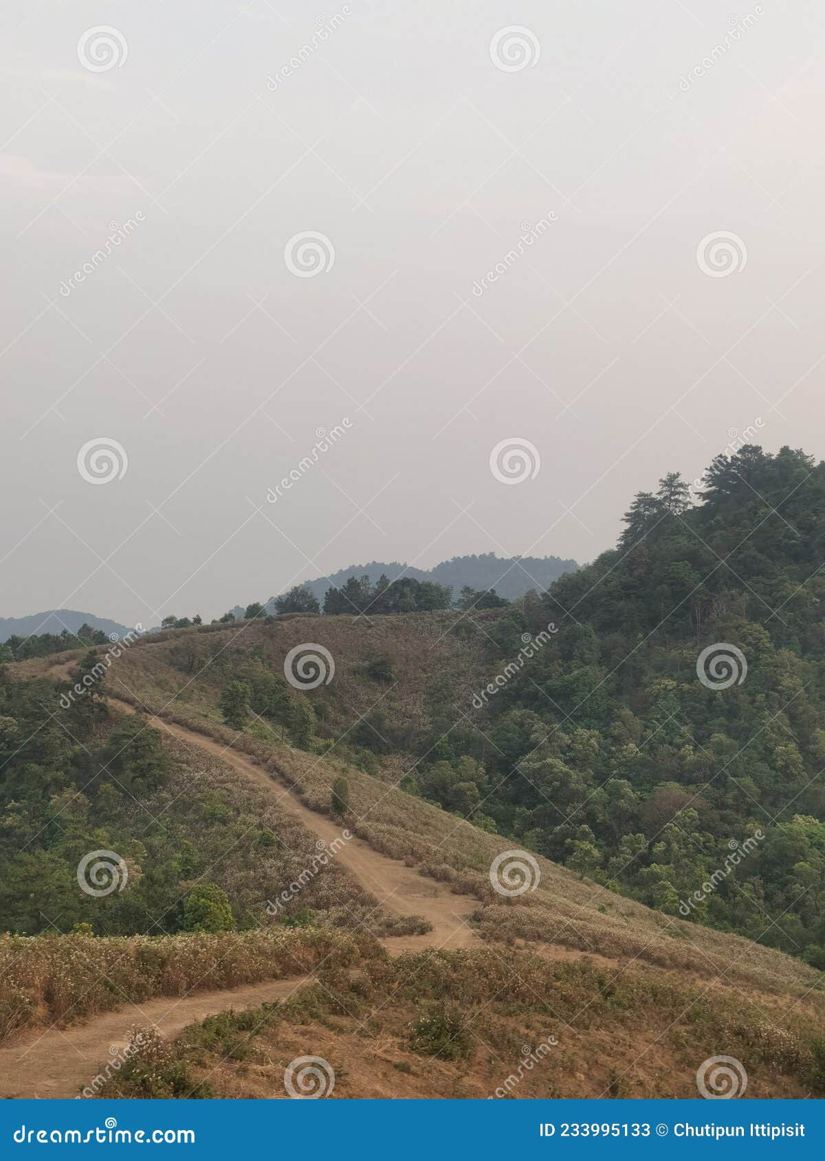 The Road is Never Ending Path. Stock Image - Image of plain, soil ...