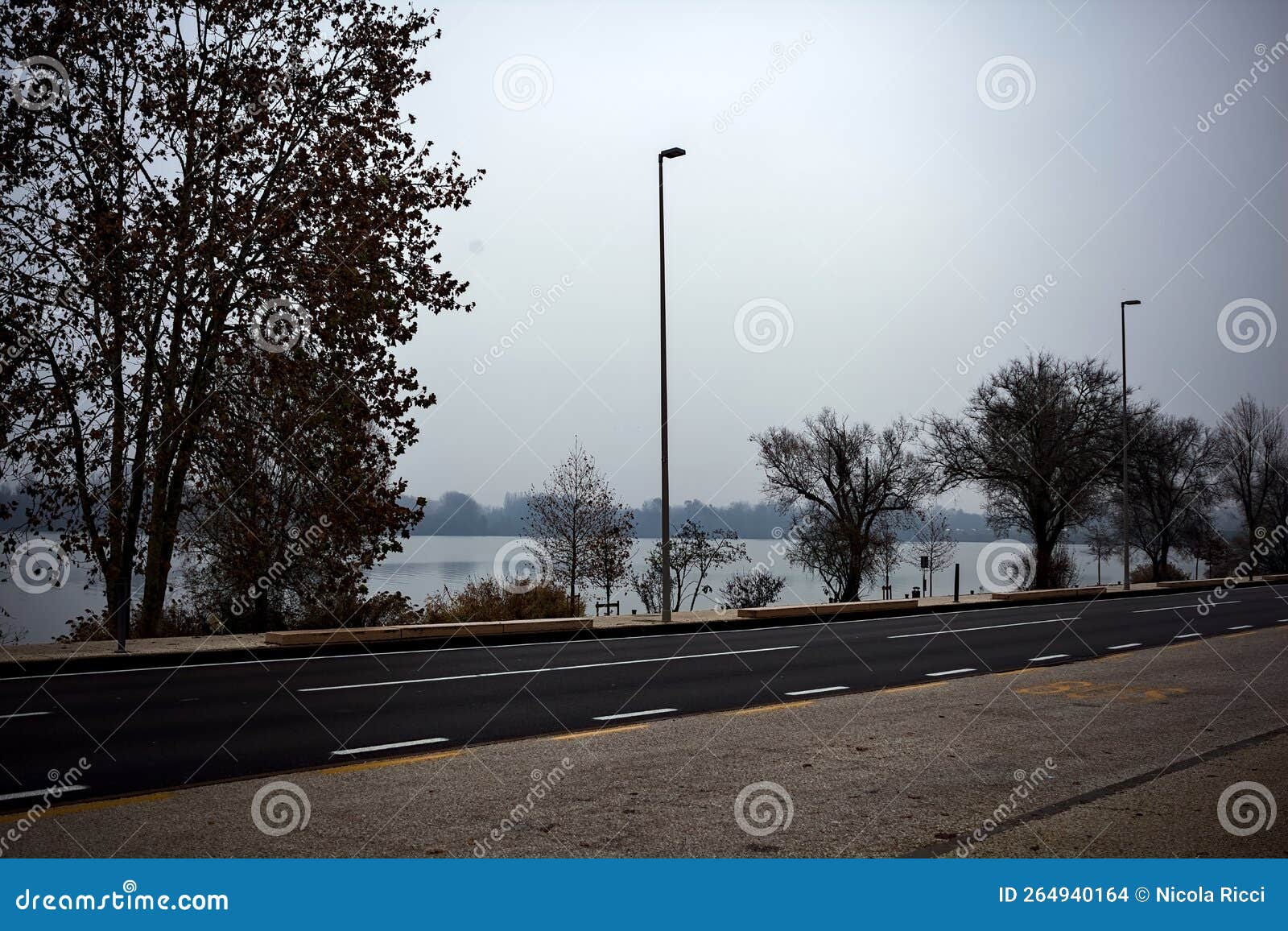 Road Next To a Bare Grove by the Riverside in Winter Stock Photo ...