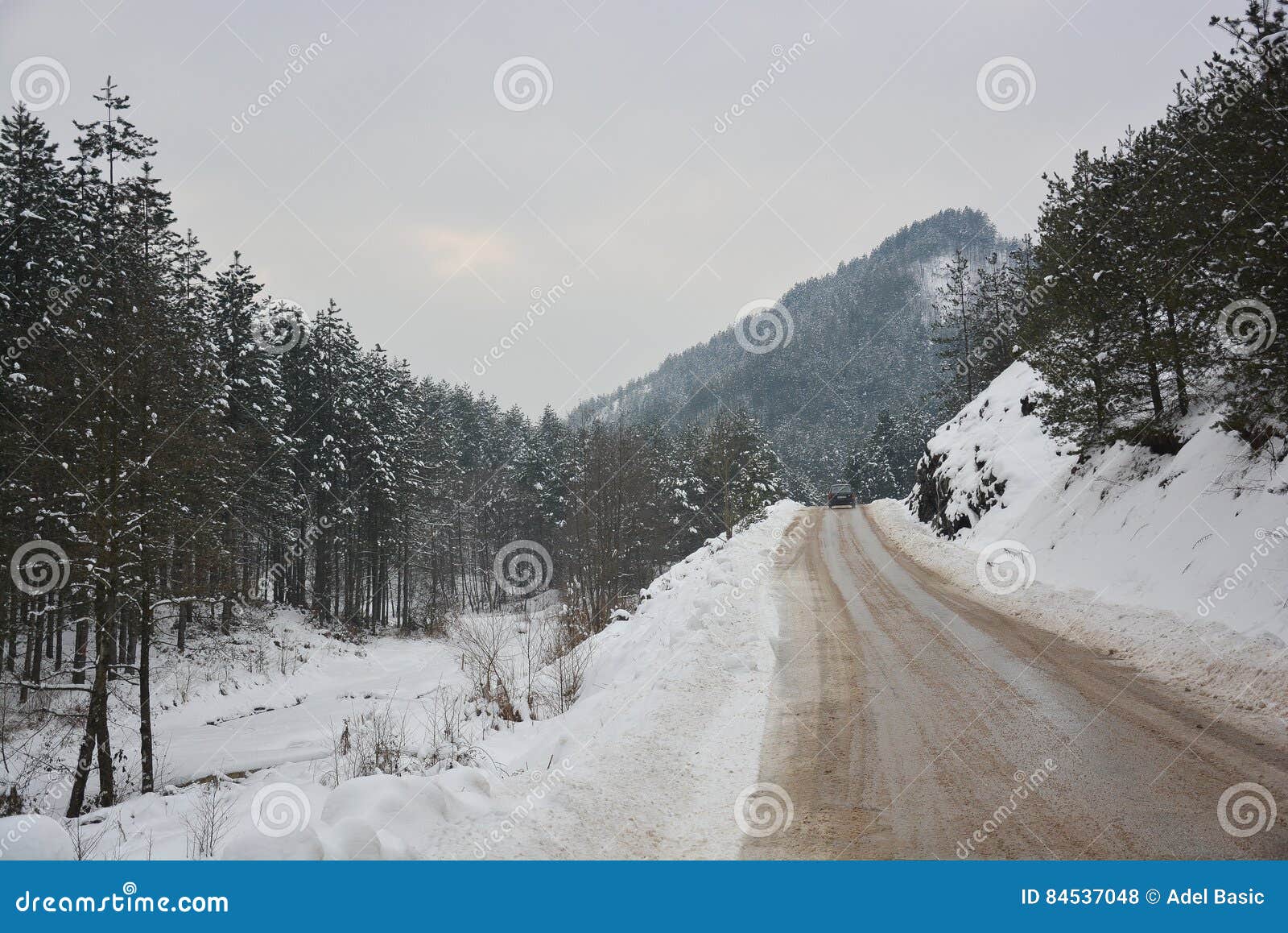 The Road Next To Dense Forests Covered with Snow Stock Photo - Image of ...