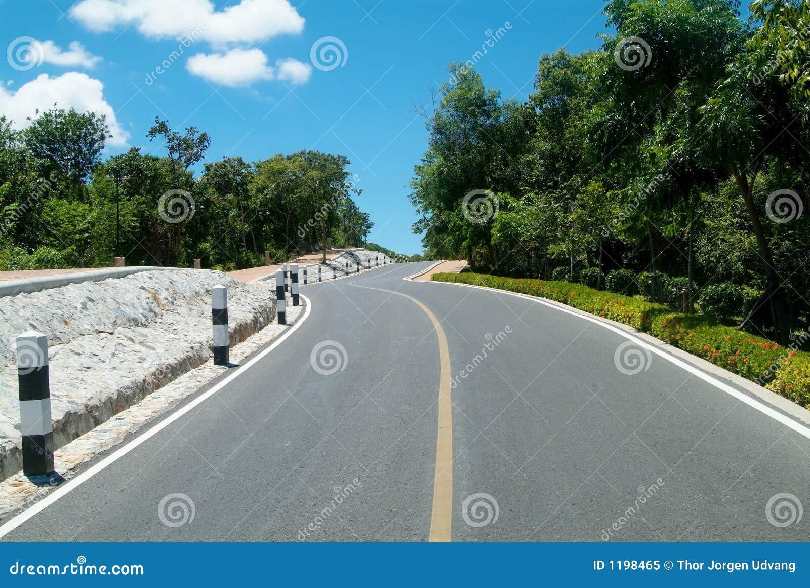 Road over a hill stock image. Image of summer, tree, park - 1198465