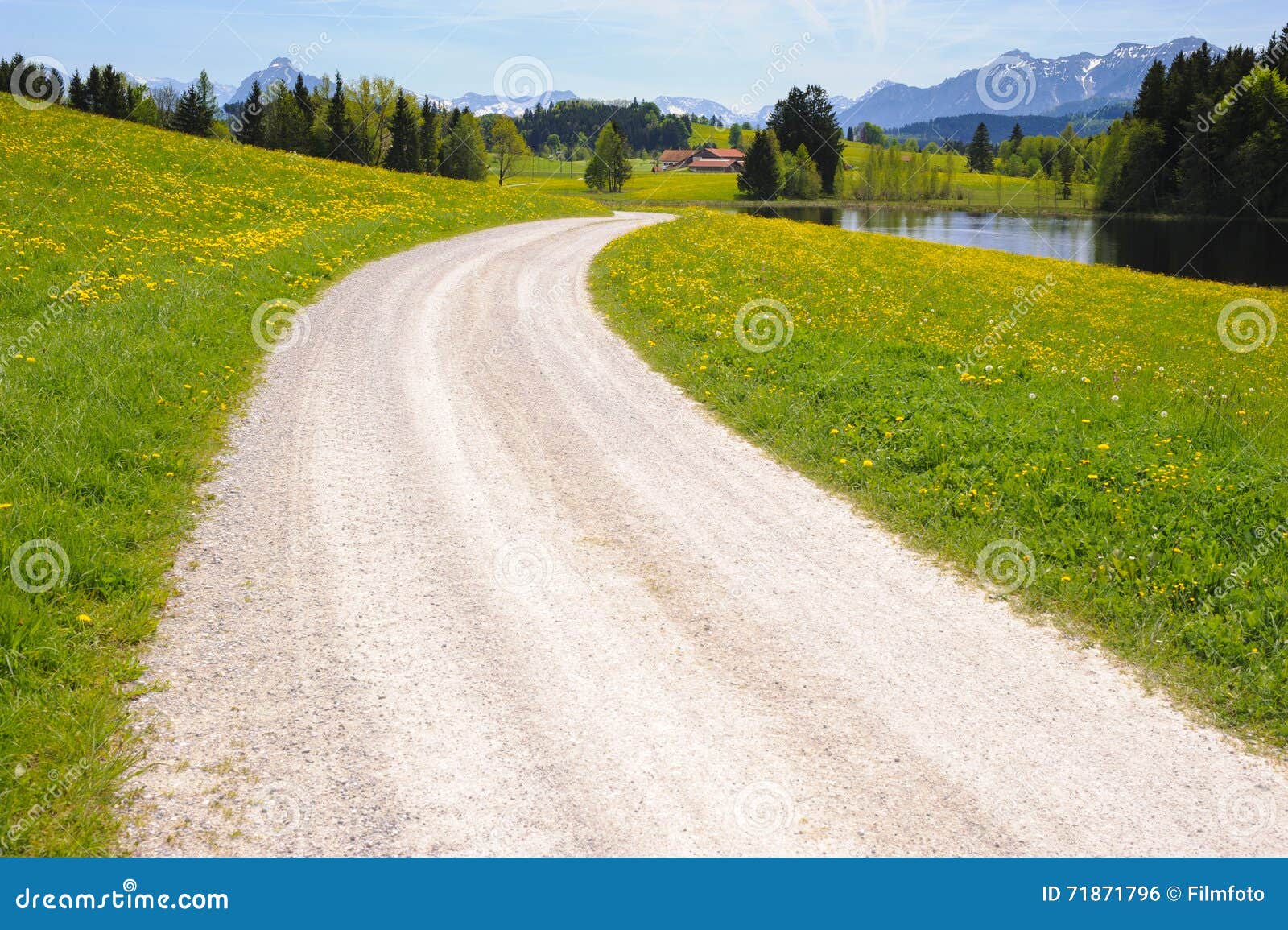 Road over meadow in spring stock photo. Image of natural - 71871796
