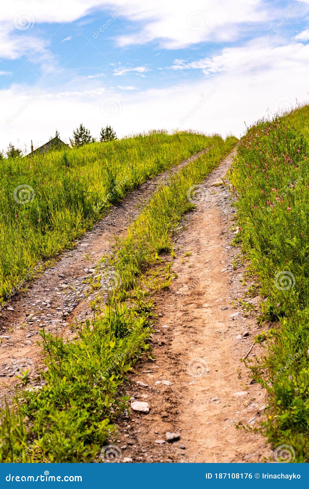 A Road Overgrown with Grass among Meadows Stock Photo - Image of blue ...