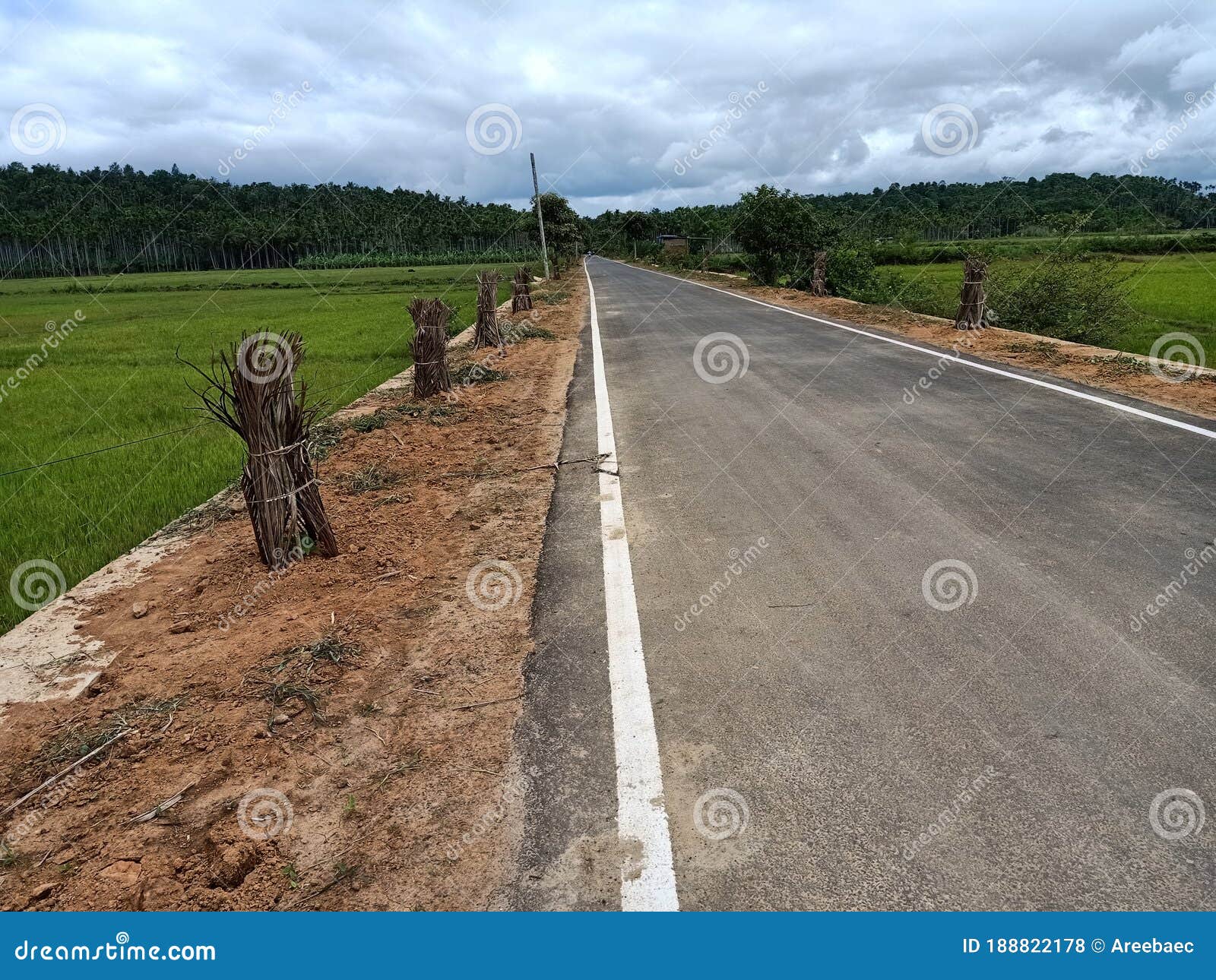Road through the Paddy Field and the White Sky Stock Photo - Image of ...