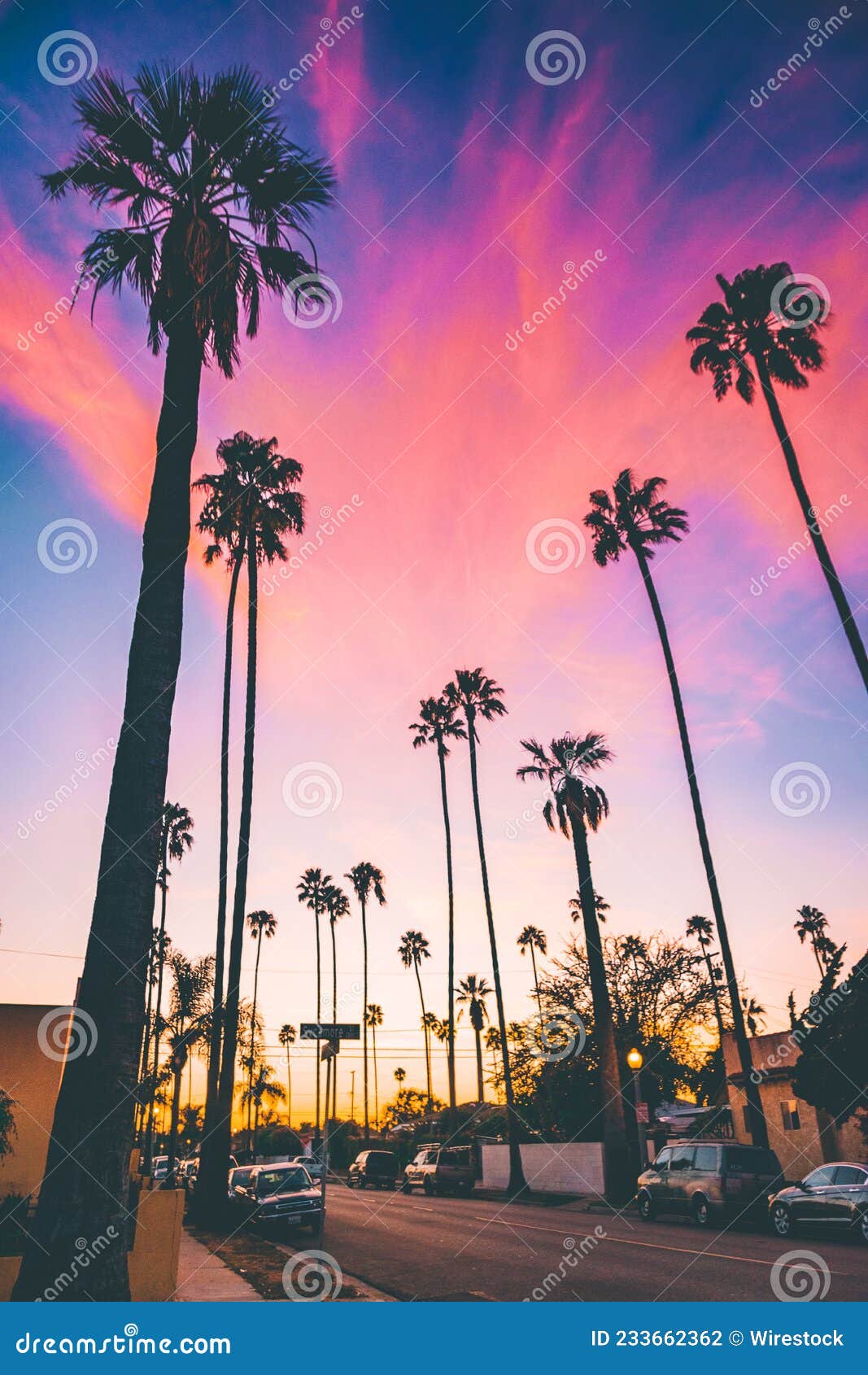 Road with Palm Trees on Each Side on the Sunset Stock Photo - Image of ...