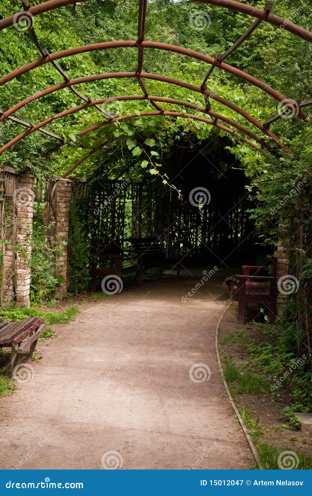 Road and Park stock image. Image of rural, road, life - 15012047