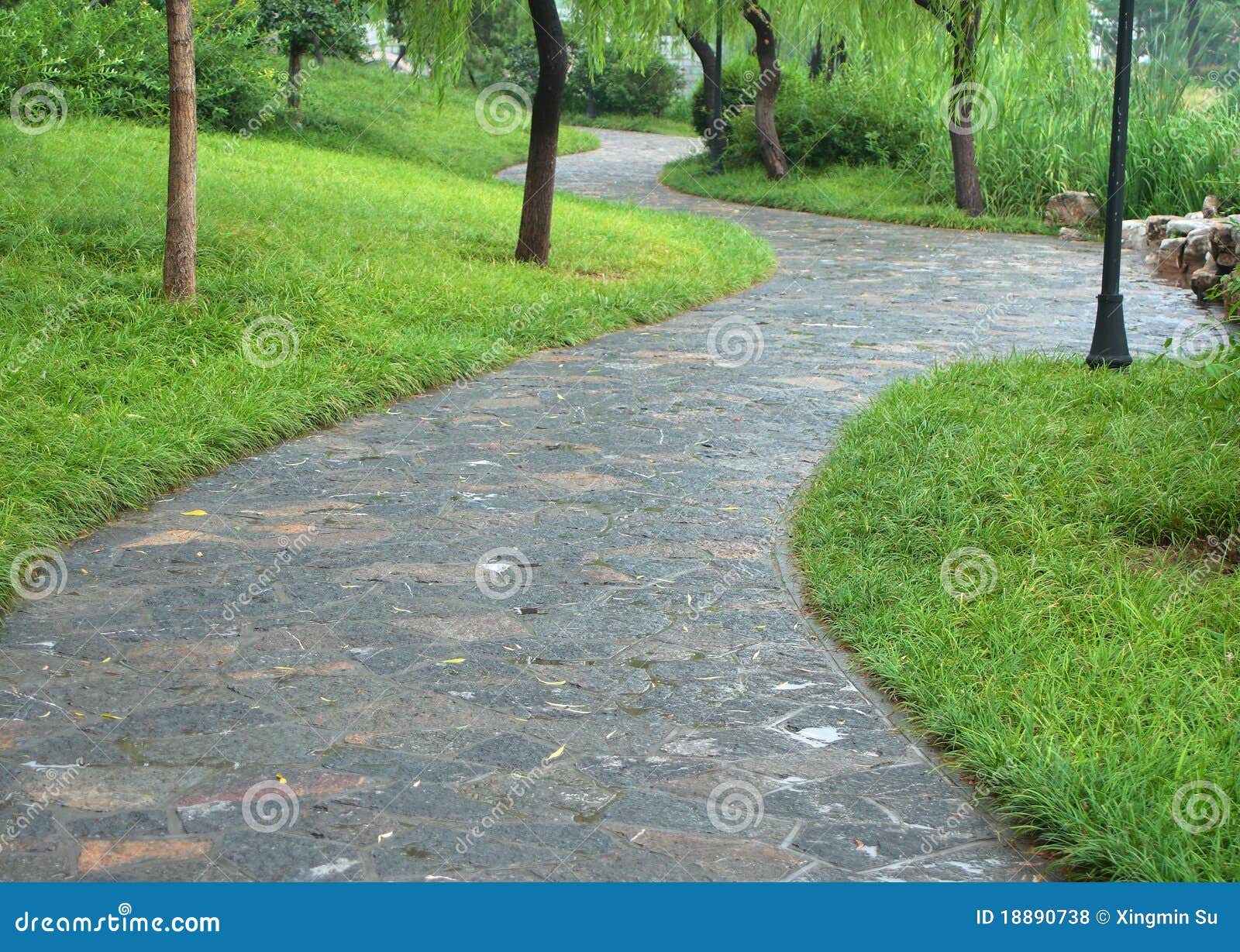 Road park stock photo. Image of lawn, exterior, reed - 18890738