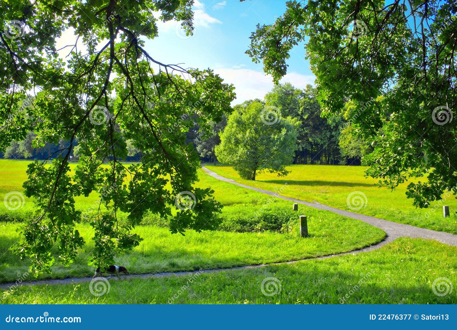 Road in the park stock image. Image of spring, nature - 22476377
