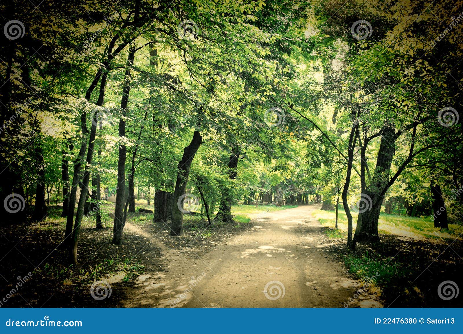 Road in the park stock photo. Image of peaceful, branch - 22476380