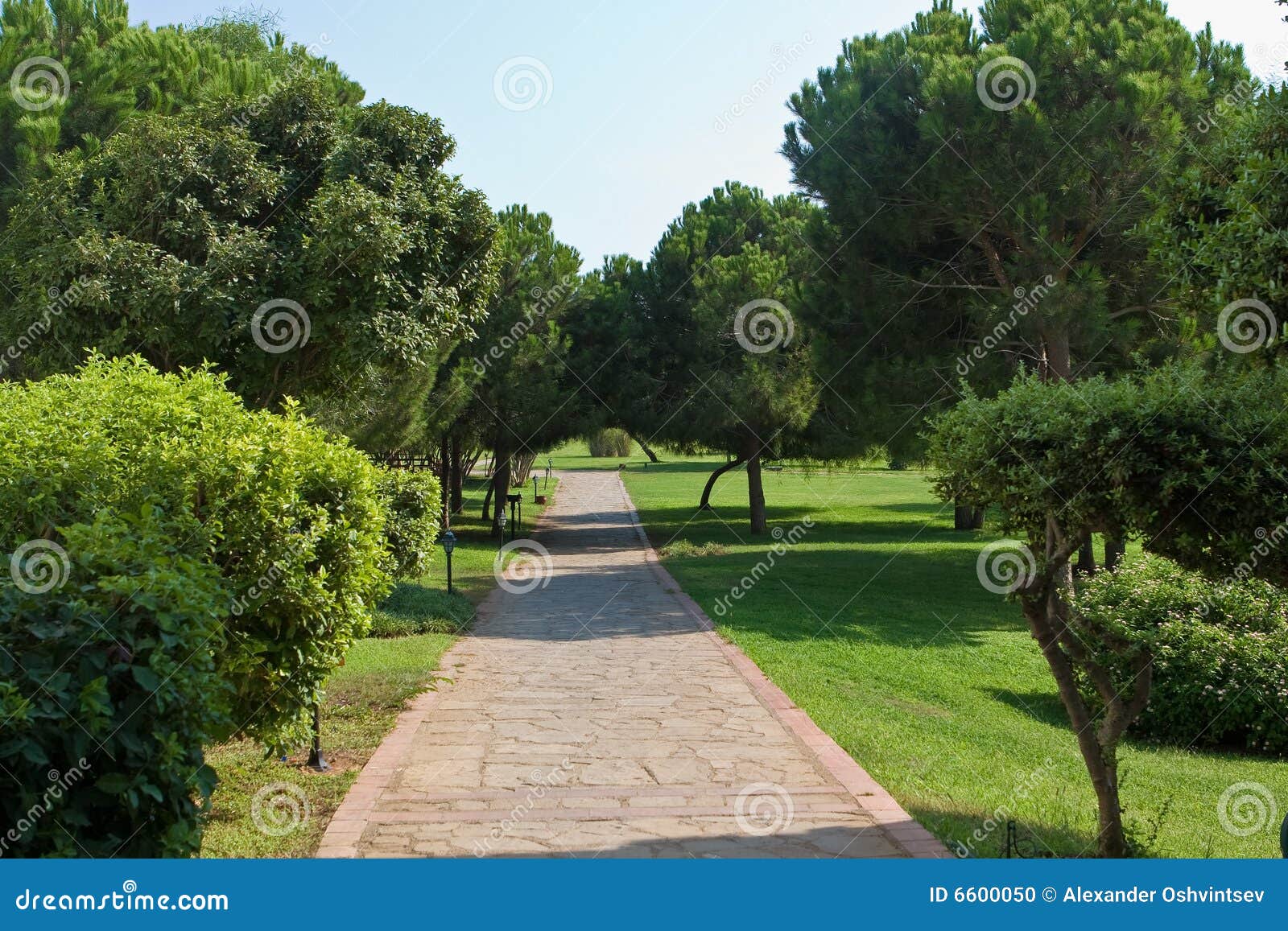 Road In Park Picture. Image: 6600050