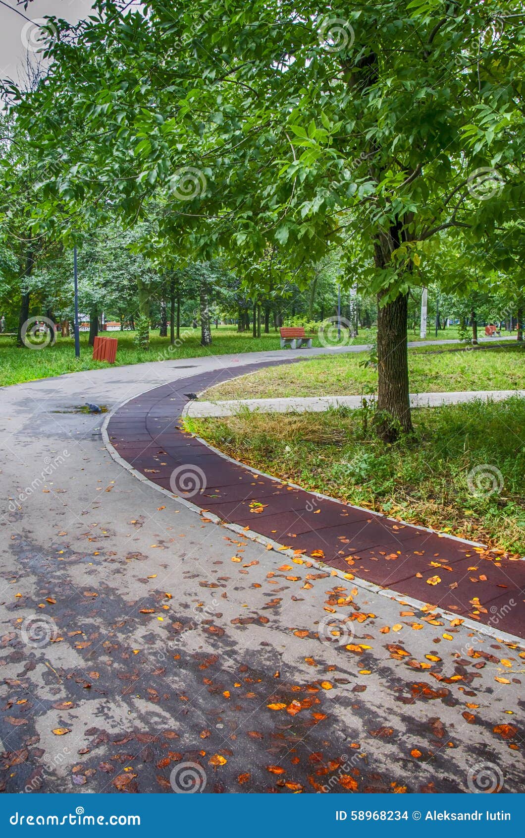 The road in the Park stock photo. Image of outdoors, woodland - 58968234