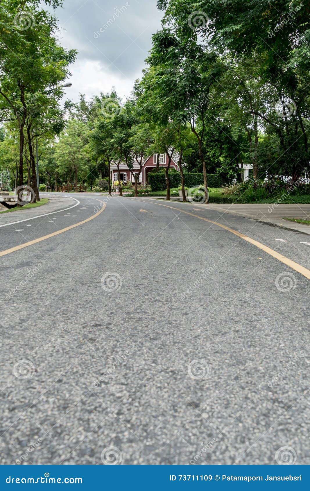 Road in the park stock image. Image of plant, landscape - 73711109
