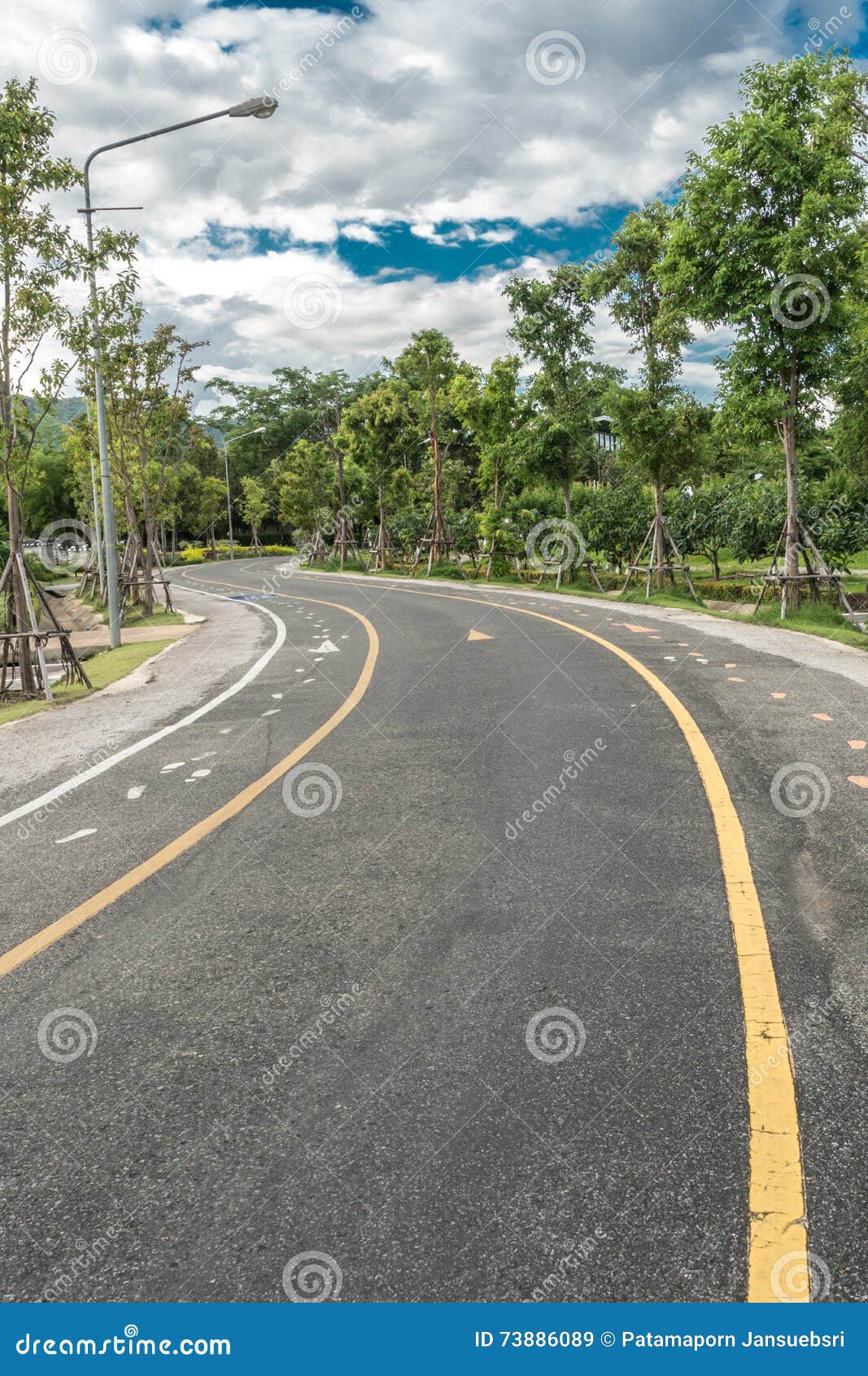 Road in the park stock image. Image of nature, sunny - 73886089