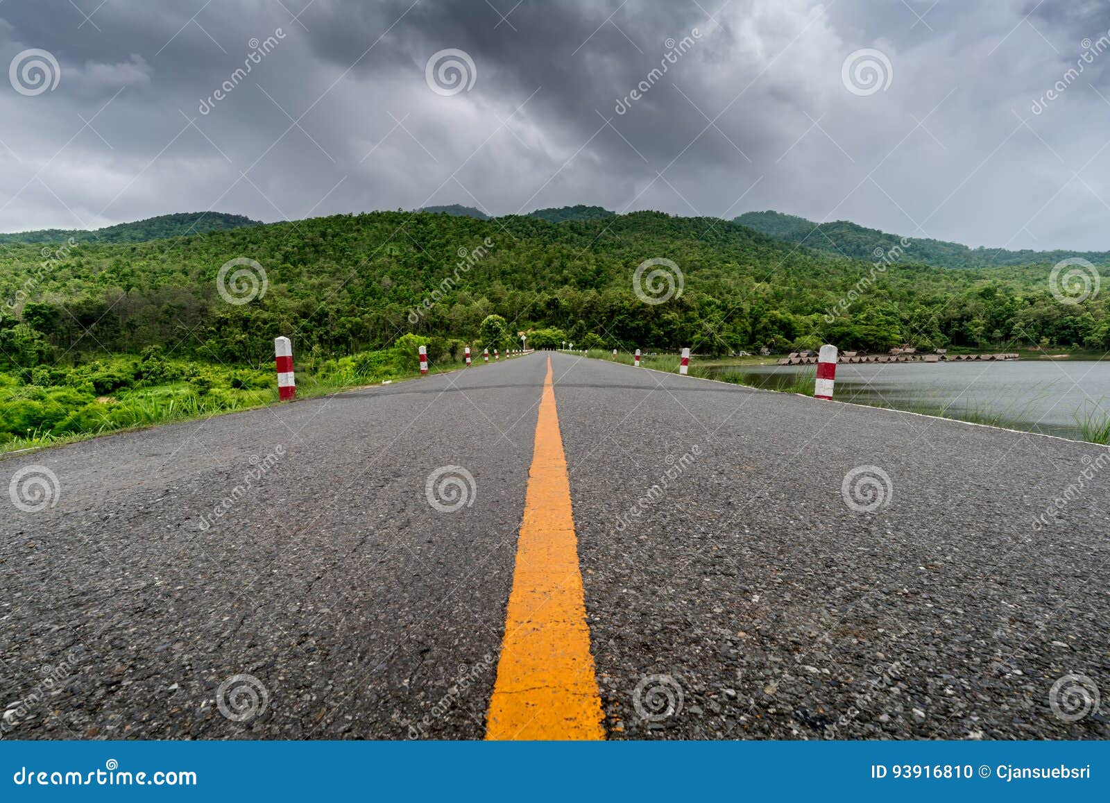 Road in park stock photo. Image of mountain, country - 93916810