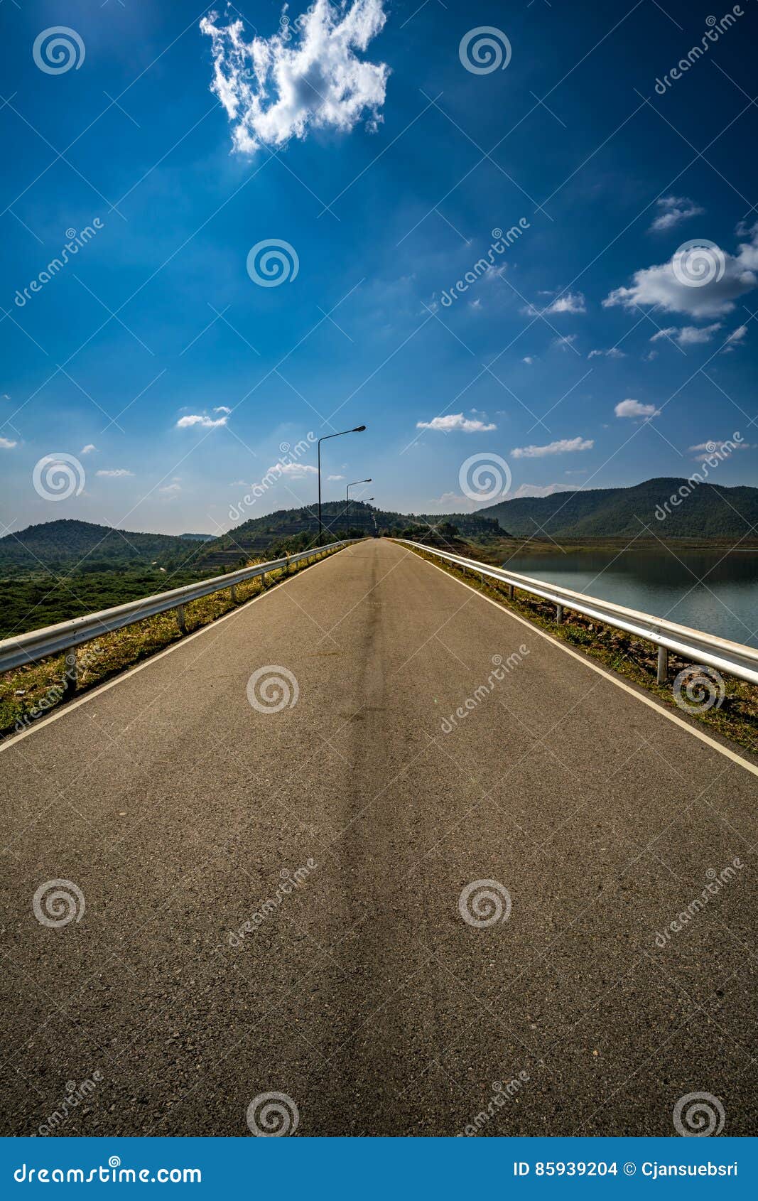 Road in park stock photo. Image of perspective, journey - 85939204