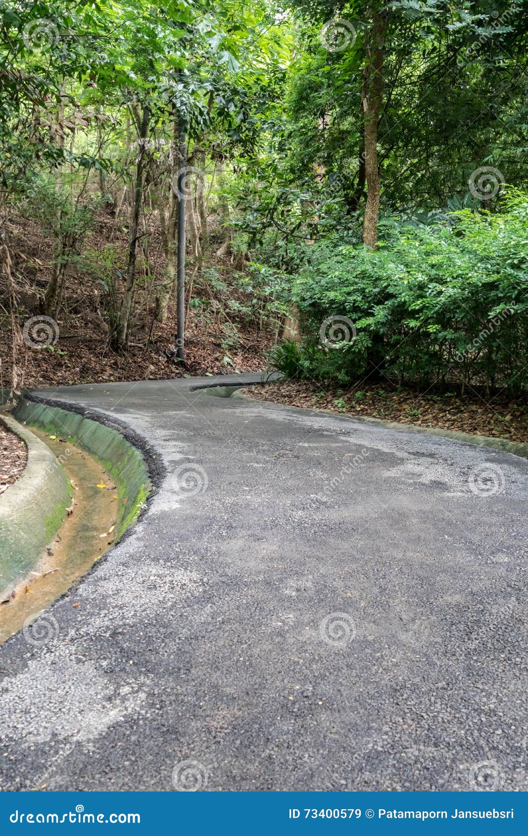 Road in the park stock image. Image of garden, rural - 73400579