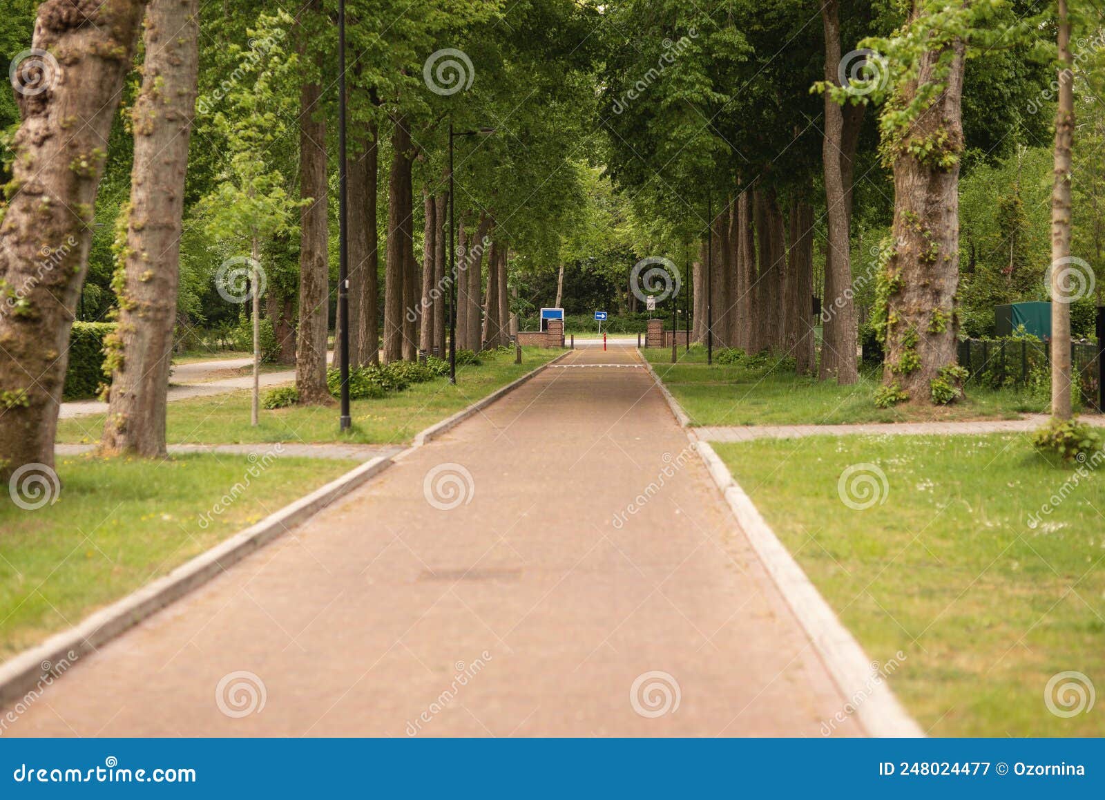 Road in the Park is Made of Bricks, Along the Trees Stock Image - Image ...