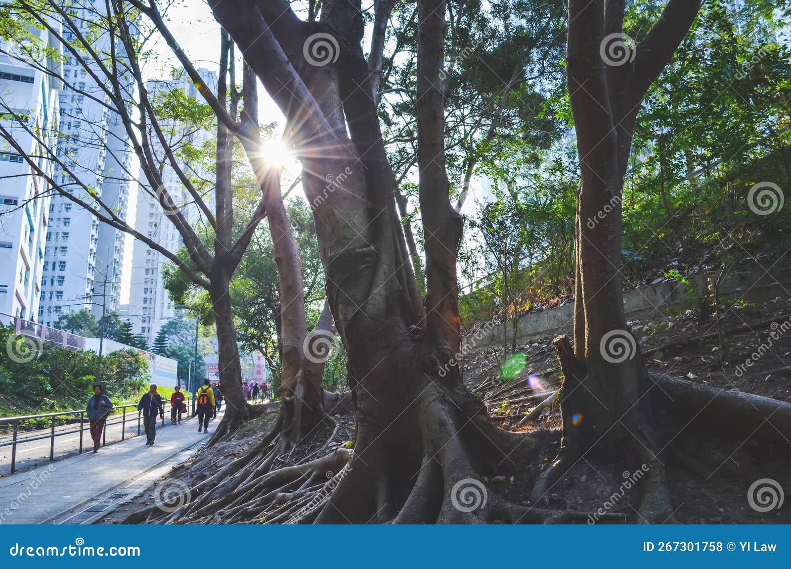 A Road in Park, Solar Spotlights in the Park Editorial Stock Photo ...