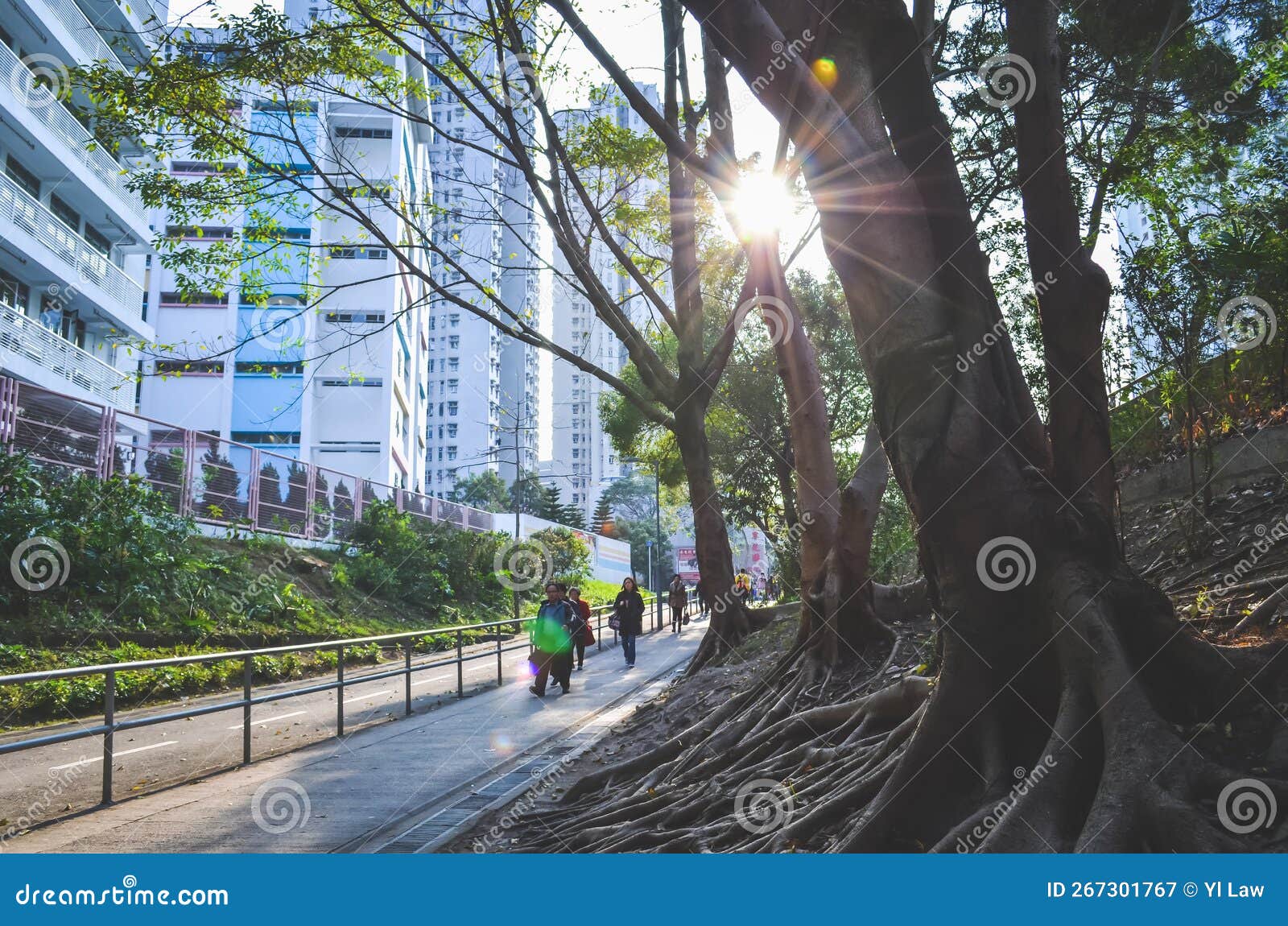 .a Road in Park, Solar Spotlights in the Park Editorial Photography ...