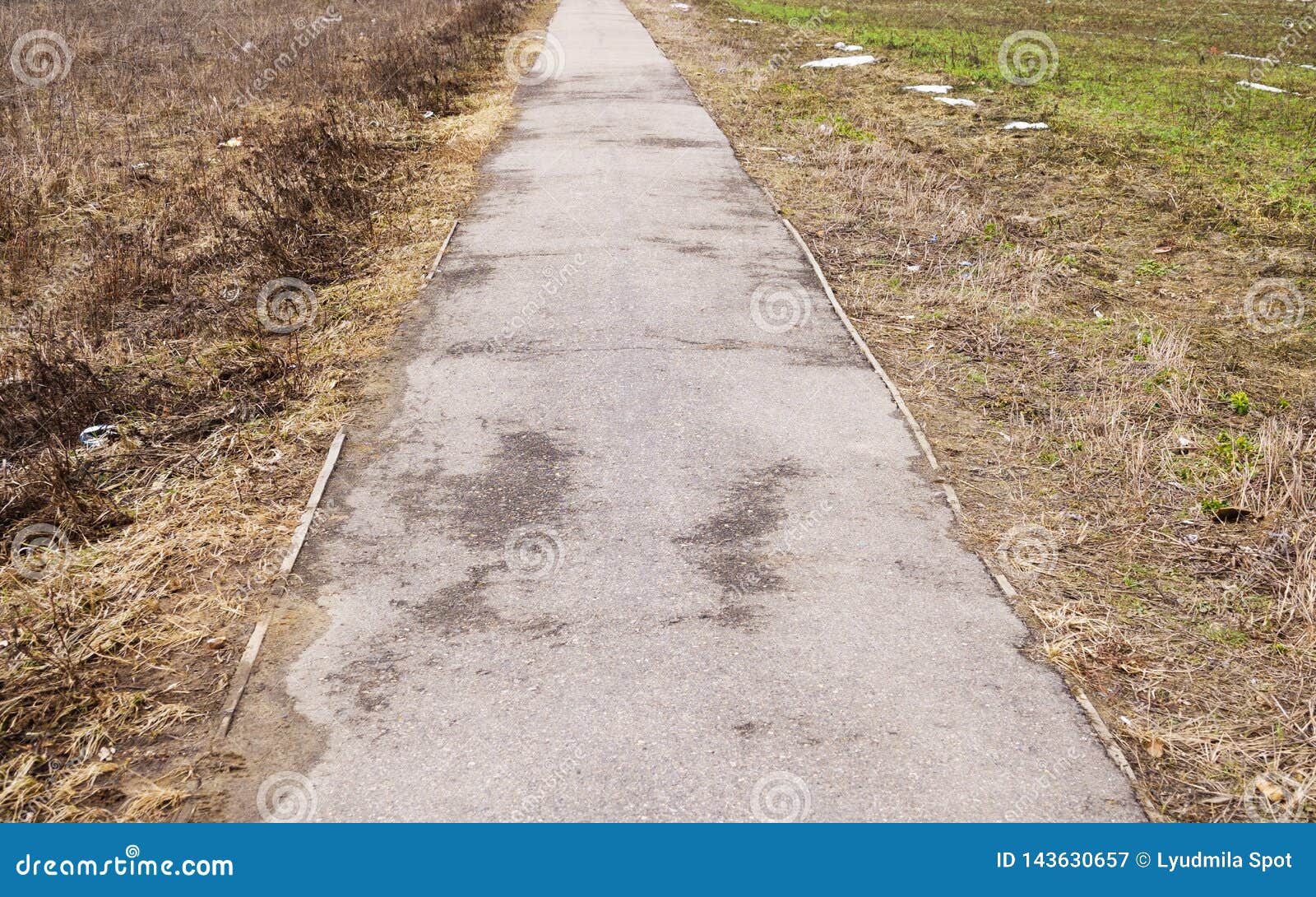 Road in the park stock image. Image of country, highway - 143630657