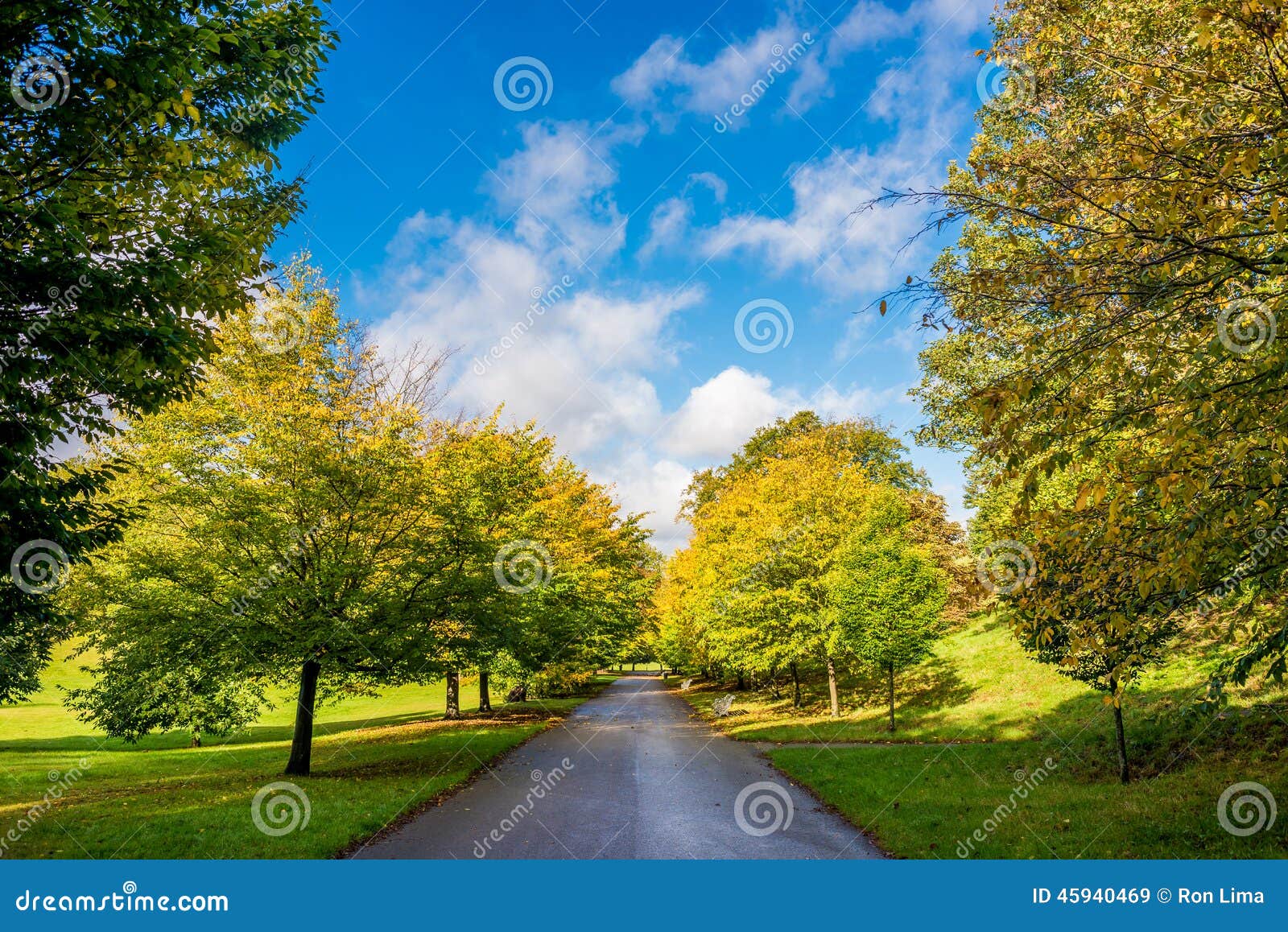 Road park sunnny day stock image. Image of peaceful, summer - 45940469