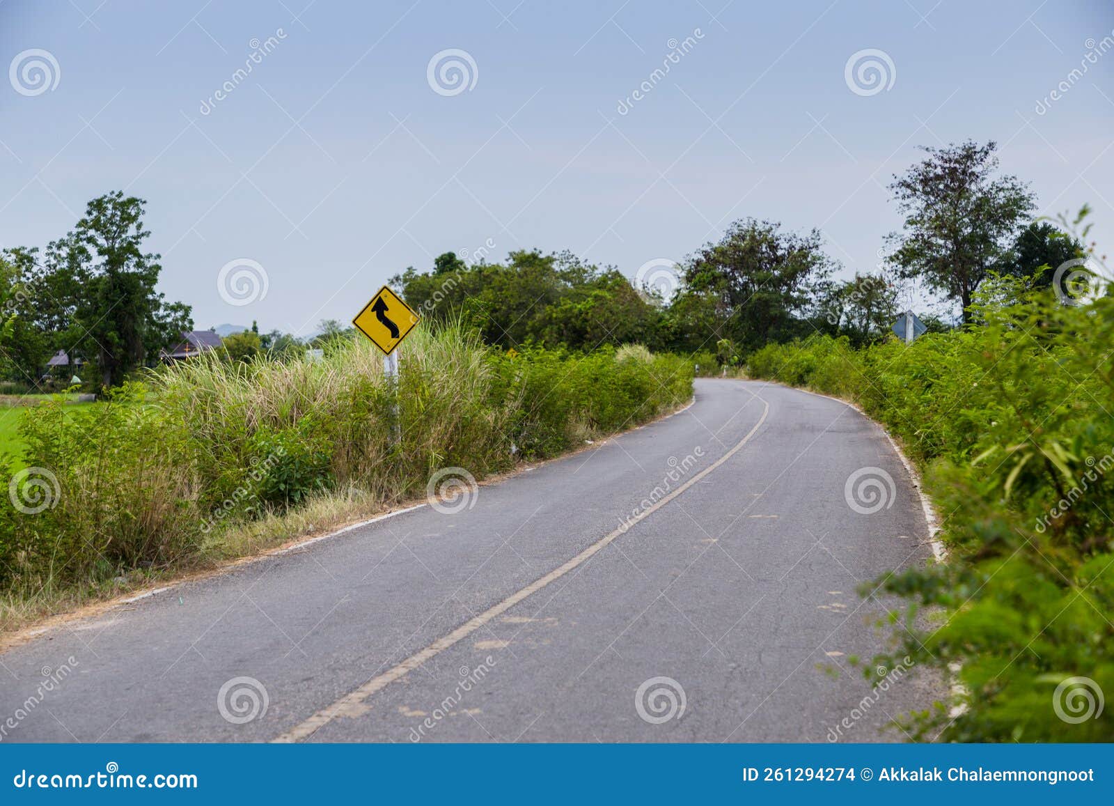 The Road Pass Trough Green Rice Field beside Stock Photo - Image of ...