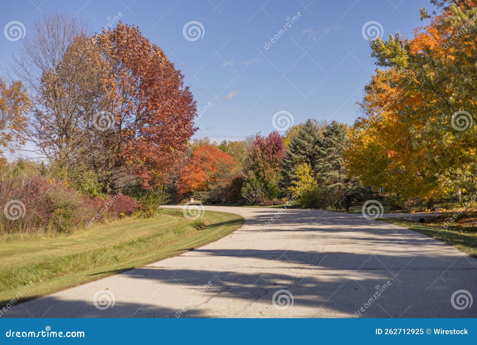 Road Passing through Colorful Trees in Autumn Stock Image - Image of ...