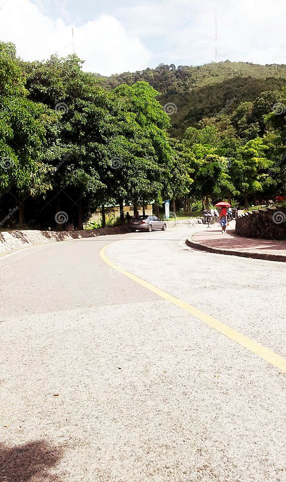 Close Up of a Road, Surface, Perspective, Scenery, Road, Path, Curve ...