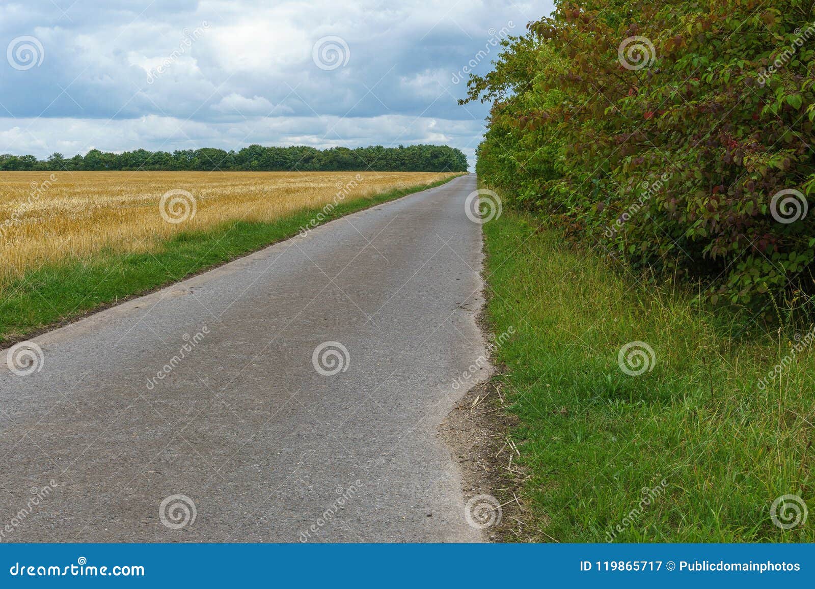 Road, Path, Lane, Asphalt Picture. Image: 119865717