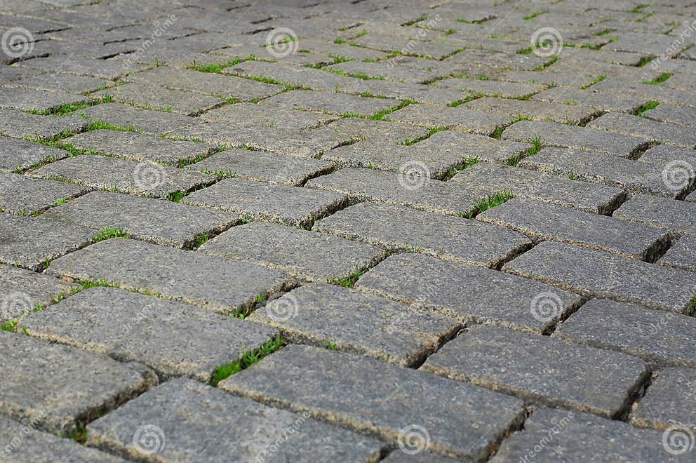 Road paved with setts stock photo. Image of lane, building - 70136928