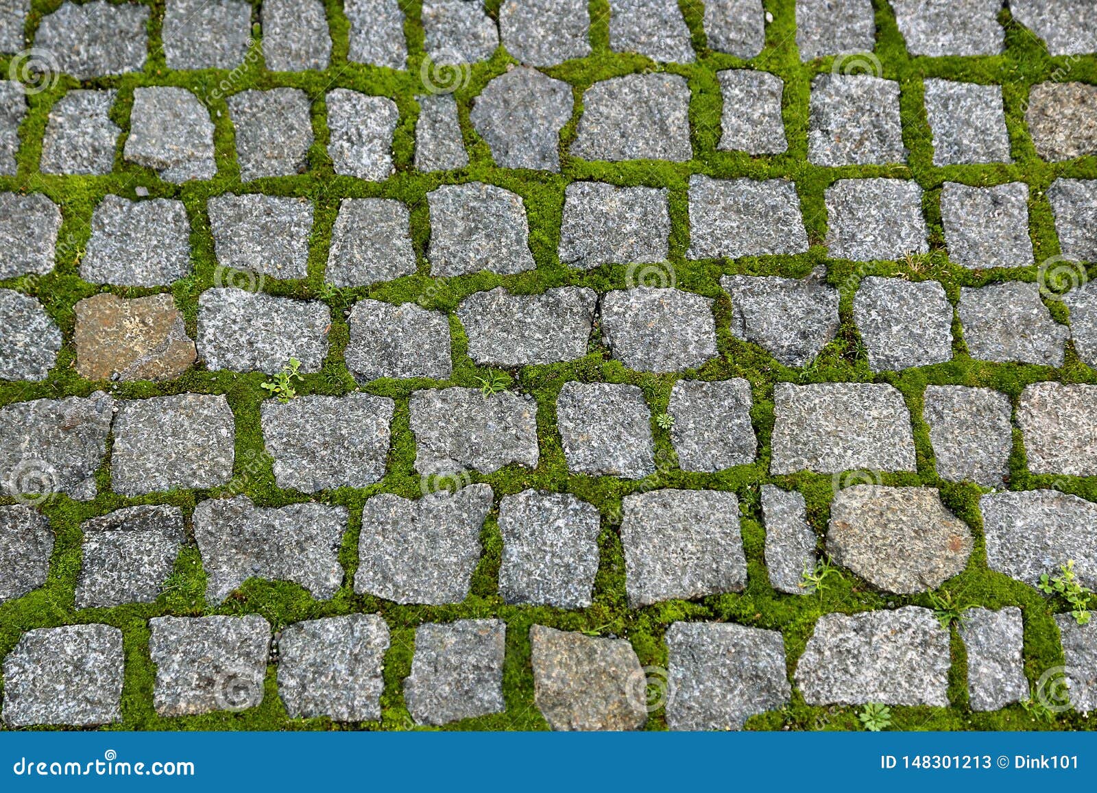 Road Paved with Stones and Sprouted Green Moss Stock Image - Image of ...