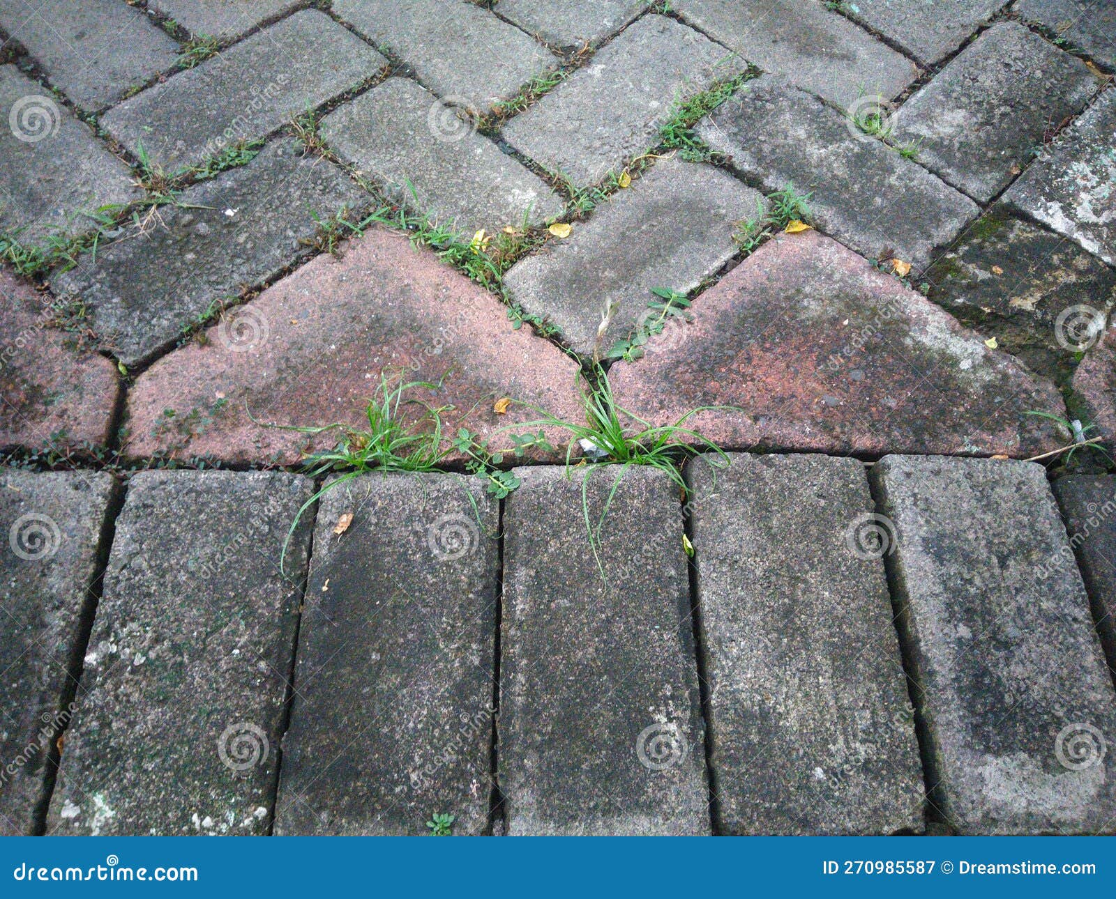 The Road with Paving Stones Stock Image - Image of lawn, exterior ...