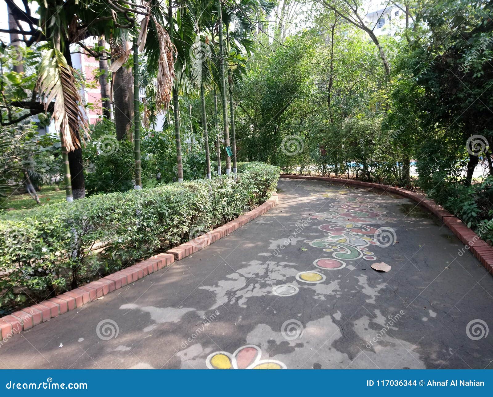 Road of peace stock photo. Image of designed, trees - 117036344