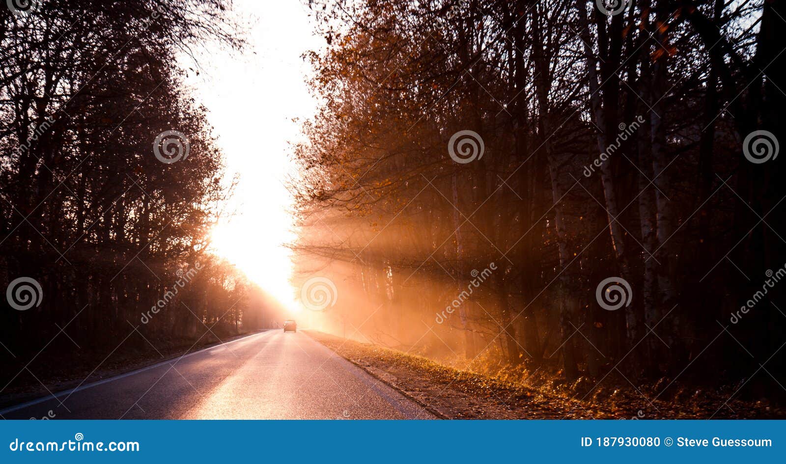 Road Picture in Direct Sunlight Stock Photo - Image of sunlight, night ...